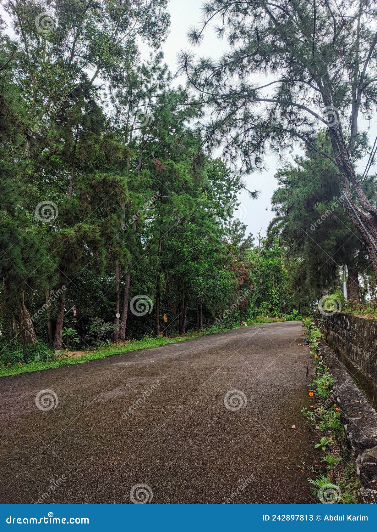Extremely Beautiful Road and Green Environment Opposite the Sky Stock ...
