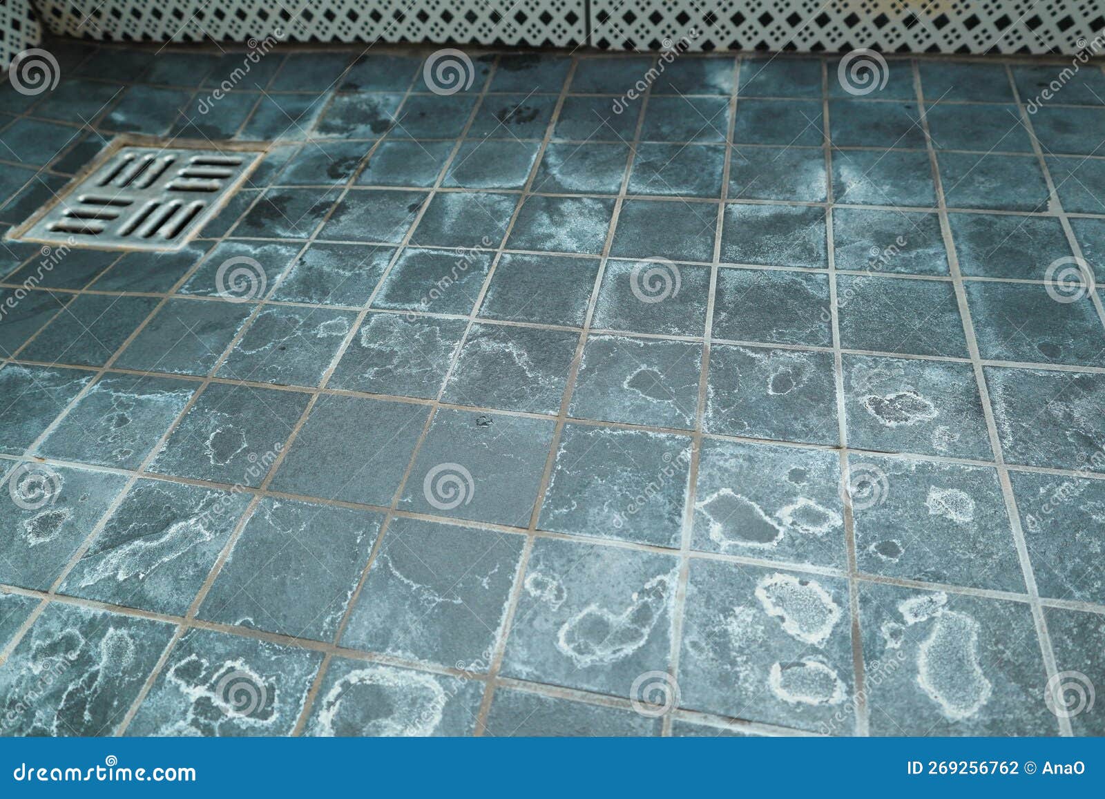 Extremely Dirty Bath Drain Mesh, Hole and Tiles Surface Covered with ...