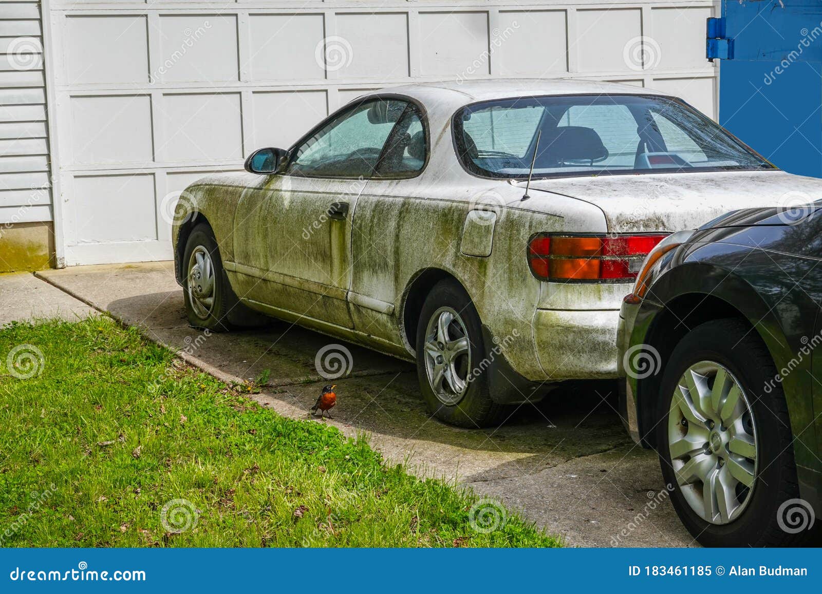 Extremely Dirty Bath Drain Mesh, Hole And Surface Covered With ...