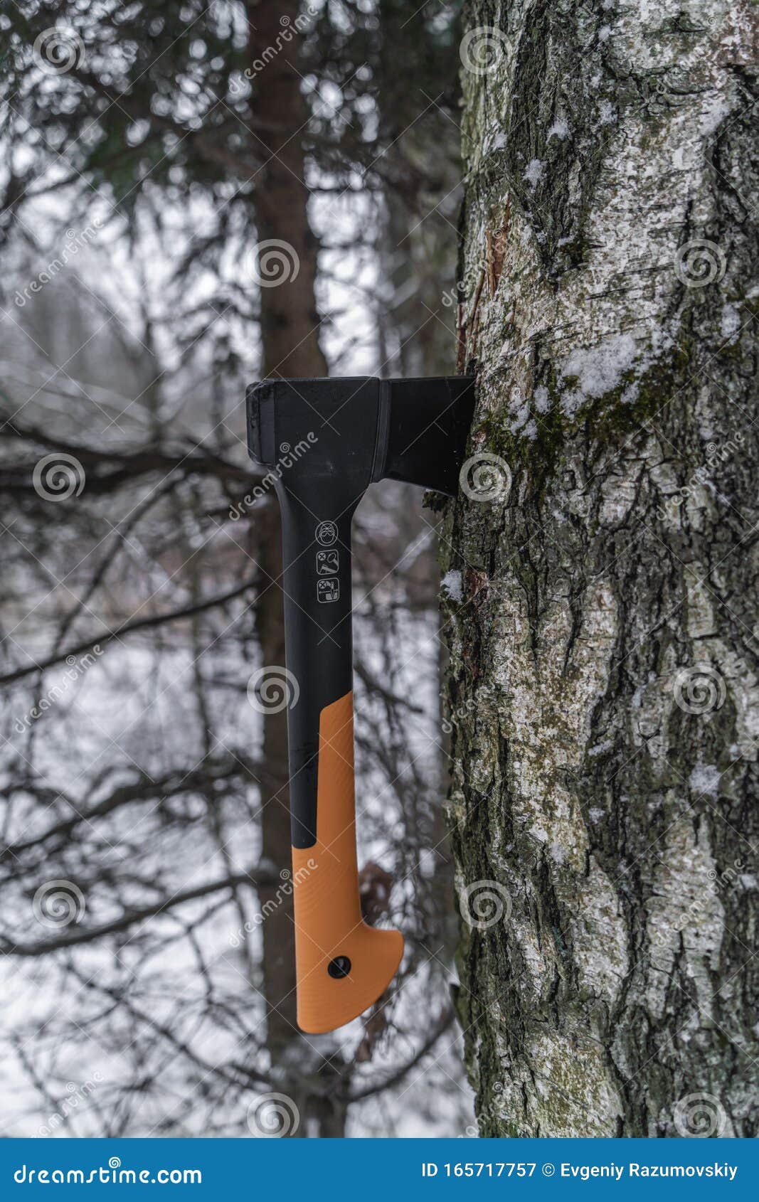 Extremely Sharp Axe in Tree. Russia. Stock Image - Image of tree, sharp ...