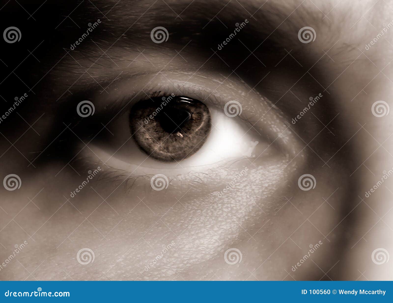 Eye stock photo. Image of vision, shapes, eyes, sepia, sight - 100560
