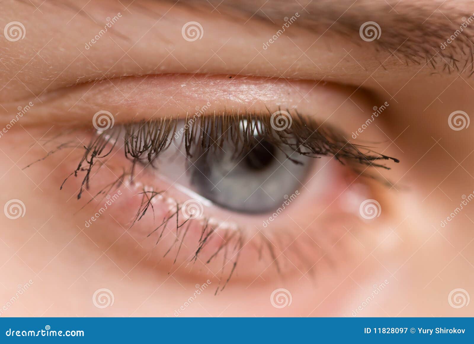 Eye stock image. Image of optic, macro, iris, glamour - 11828097