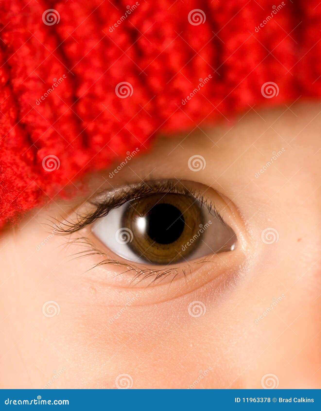 Eye stock photo. Image of stare, gaze, closeup, staring - 11963378