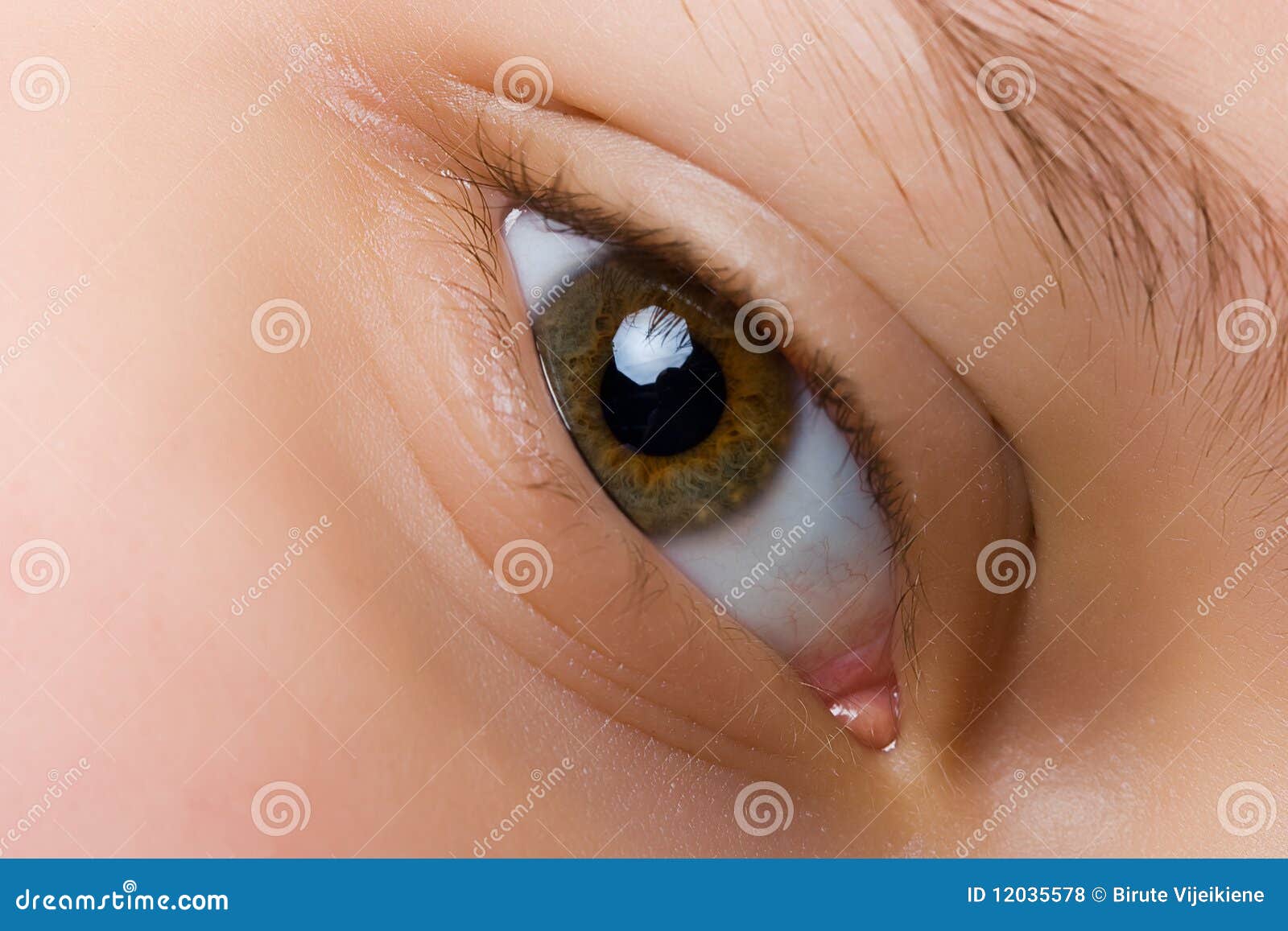 Eye stock photo. Image of health, macro, inspiration - 12035578