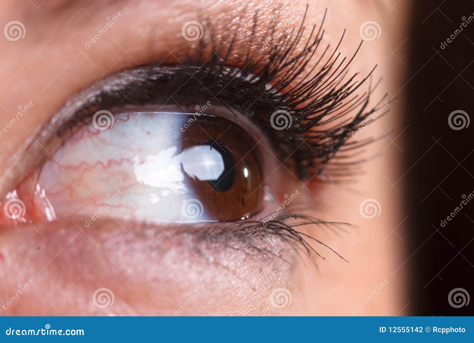 Eye stock photo. Image of black, cosmetic, cosmetics - 12555142