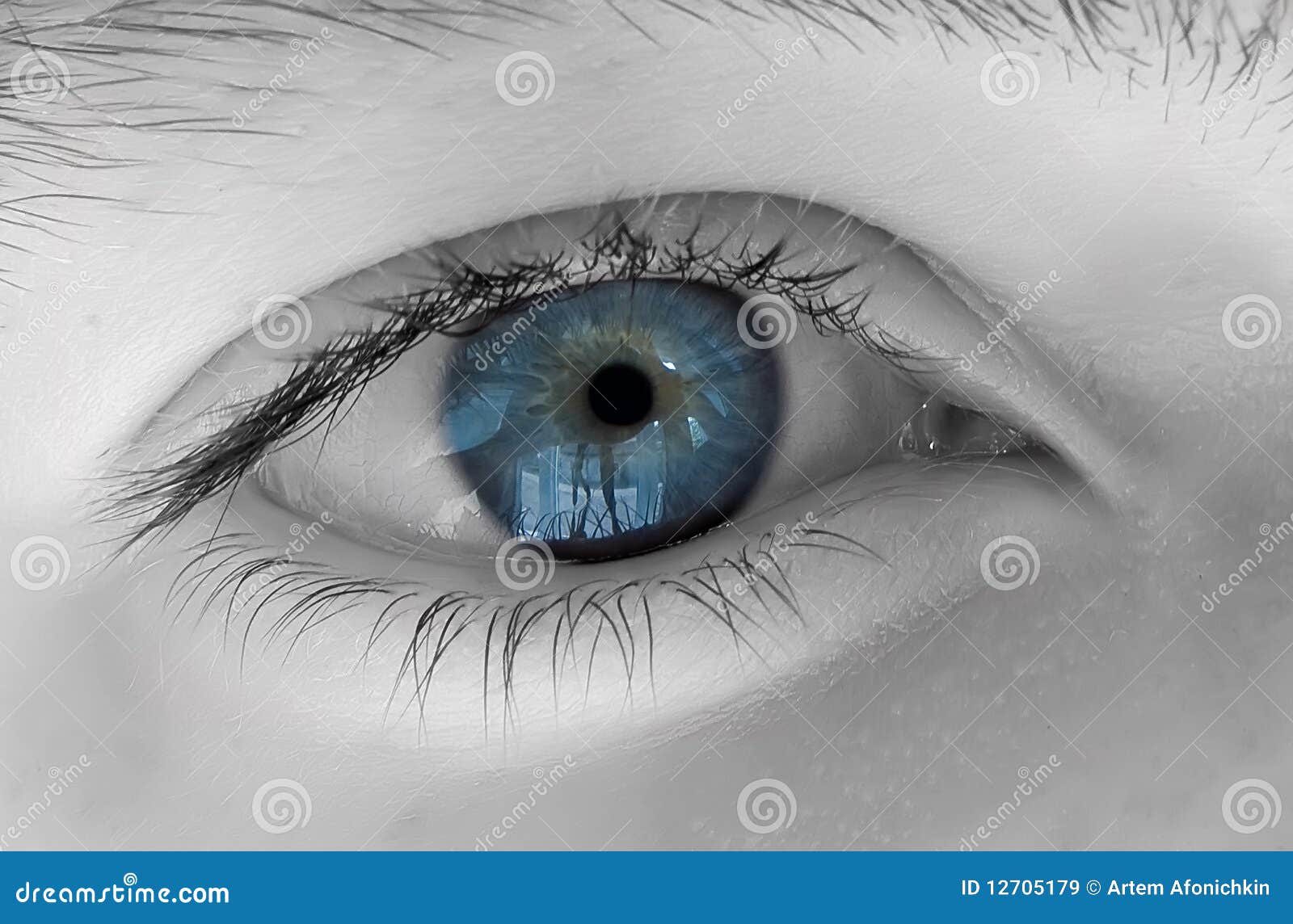 Eye stock image. Image of close, color, iris, detail - 12705179