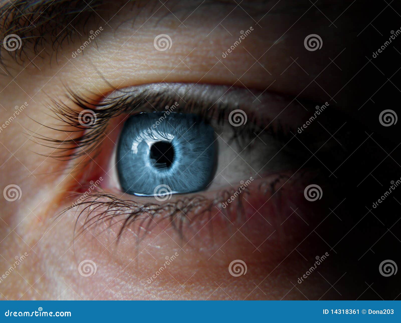 Eye stock image. Image of close, house, eyes, male, view - 14318361
