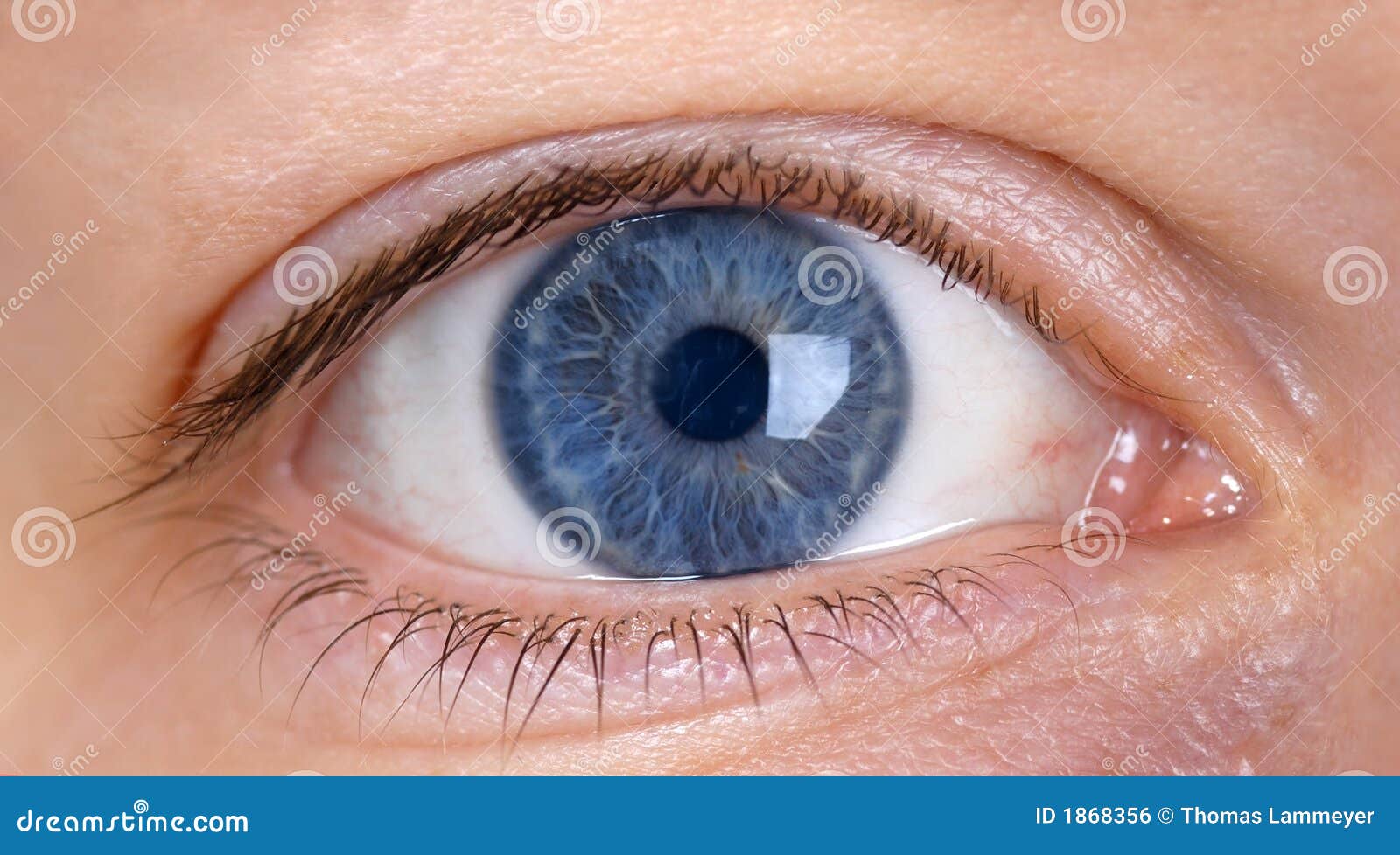 Eye stock photo. Image of abstract, beautiful, eyes, inspiration - 1868356