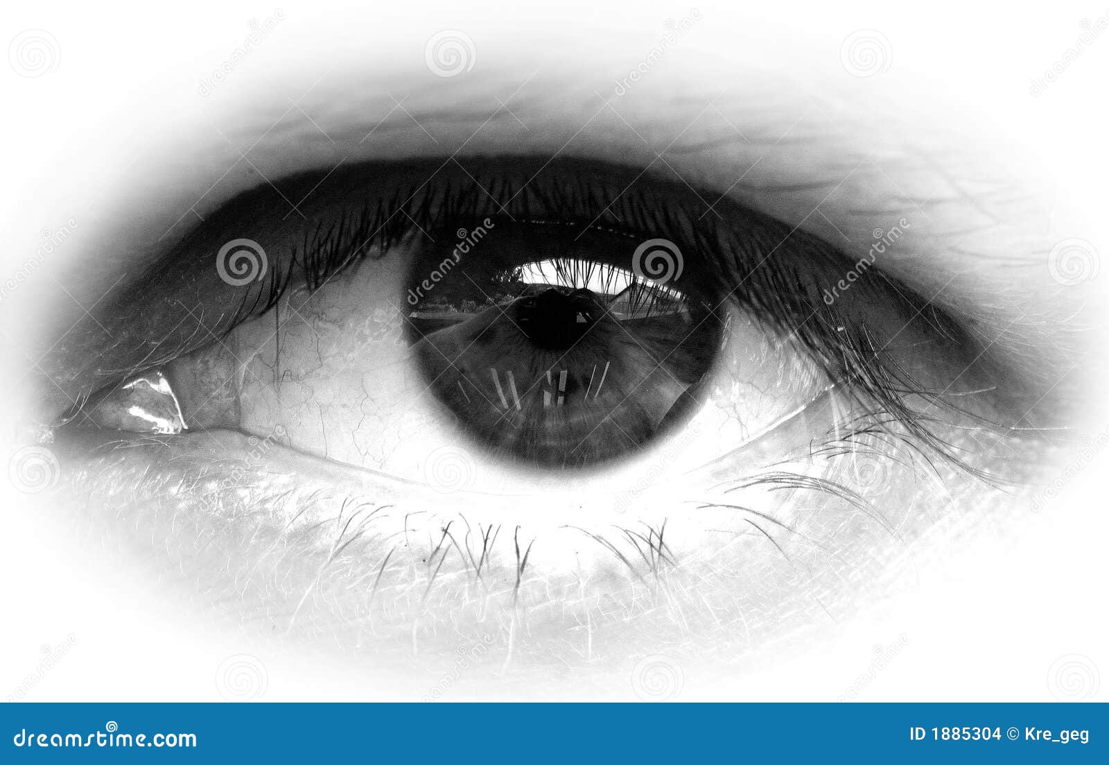 Eye stock photo. Image of sense, vision, look, human, healthy - 1885304