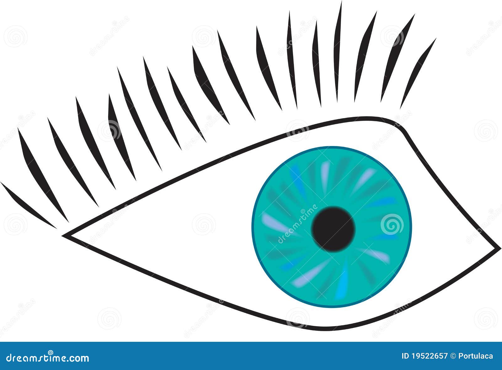 Eye stock vector. Illustration of cosmetic, reflection - 19522657