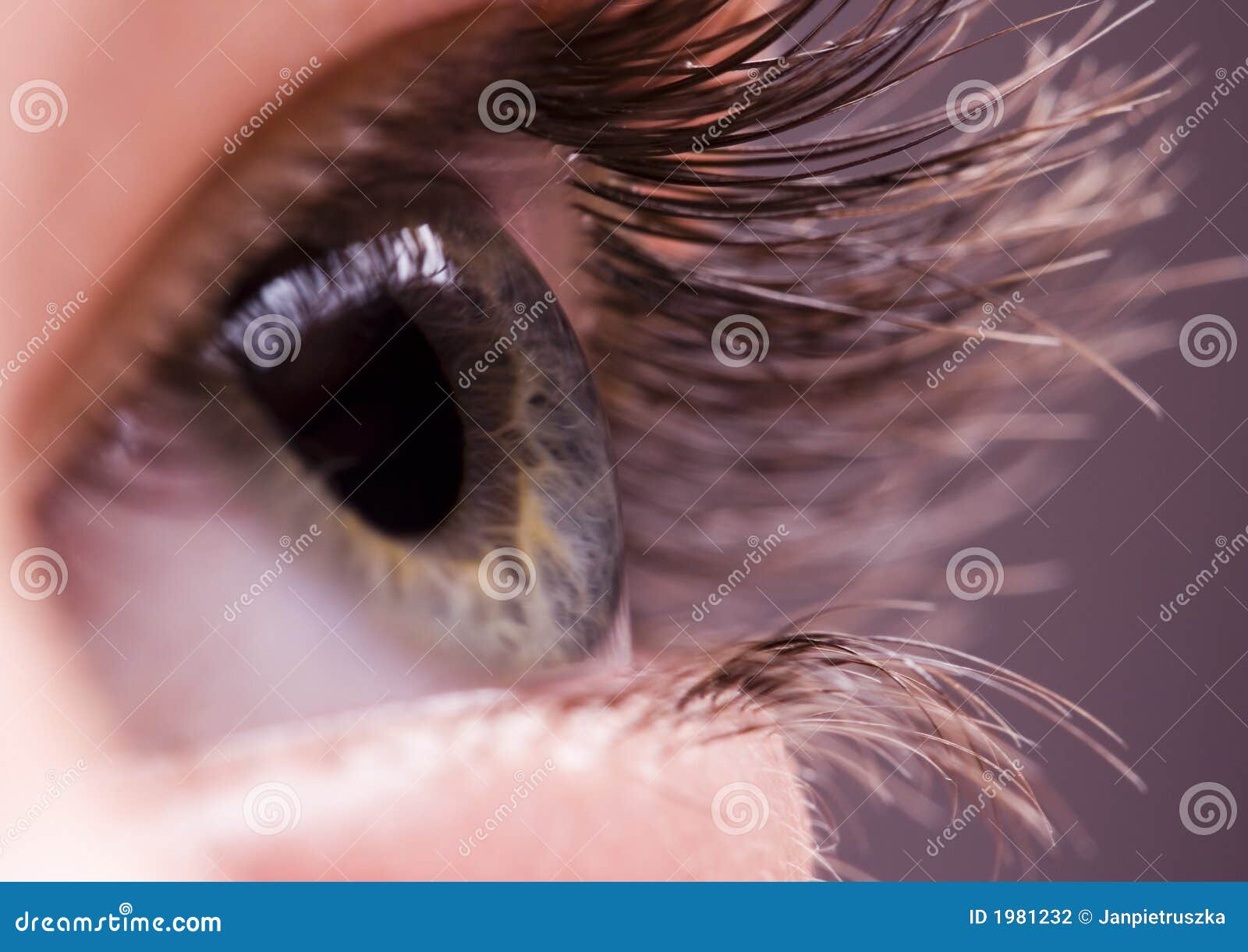 Eye stock photo. Image of girls, face, colourful, colours - 1981232