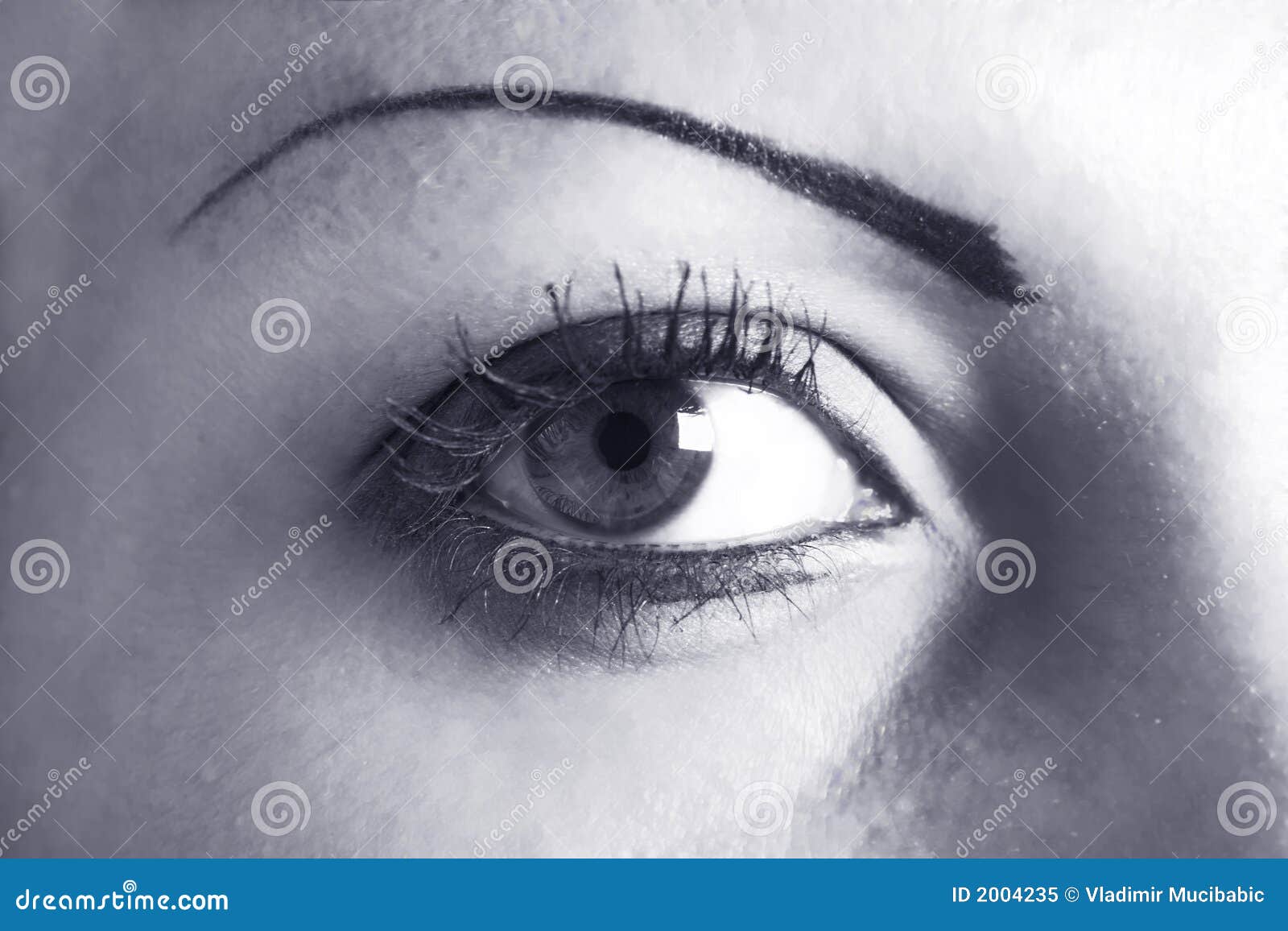Eye stock image. Image of eyeball, people, lady, beautiful - 2004235