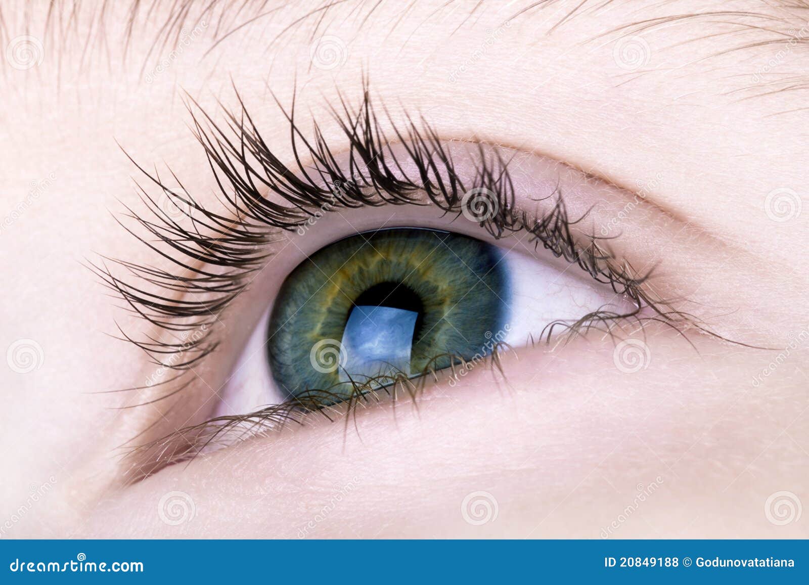 Eye stock photo. Image of beauty, anticipation, iris - 20849188