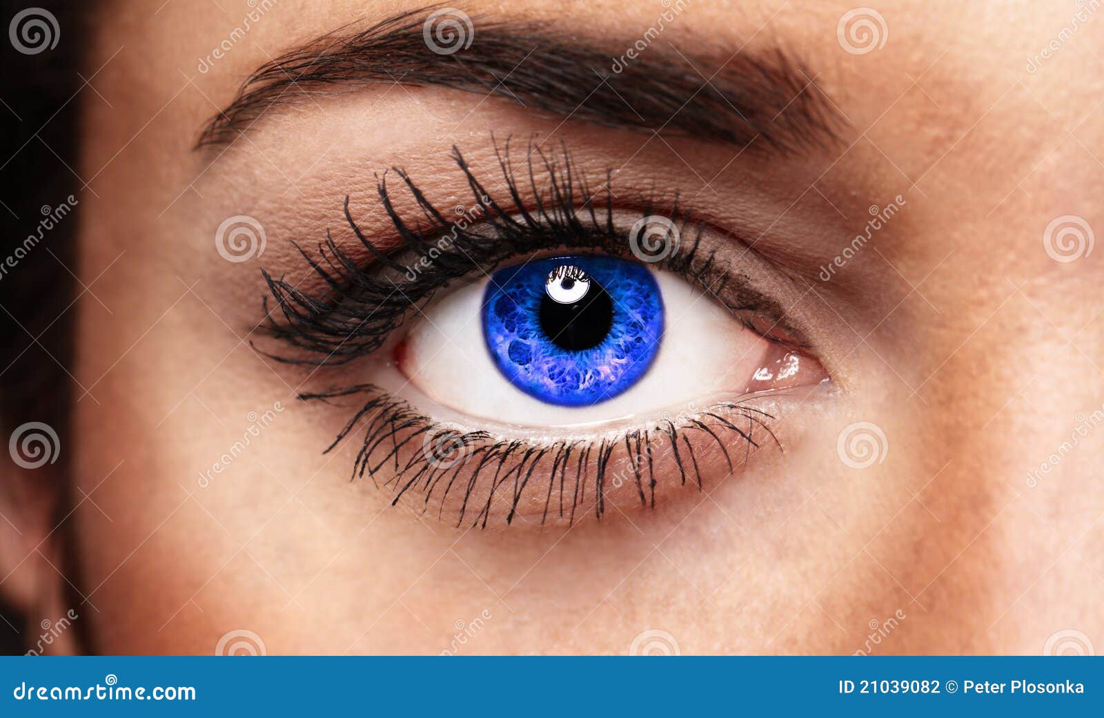 The Eye stock photo. Image of model, woman, macro, closeup - 21039082