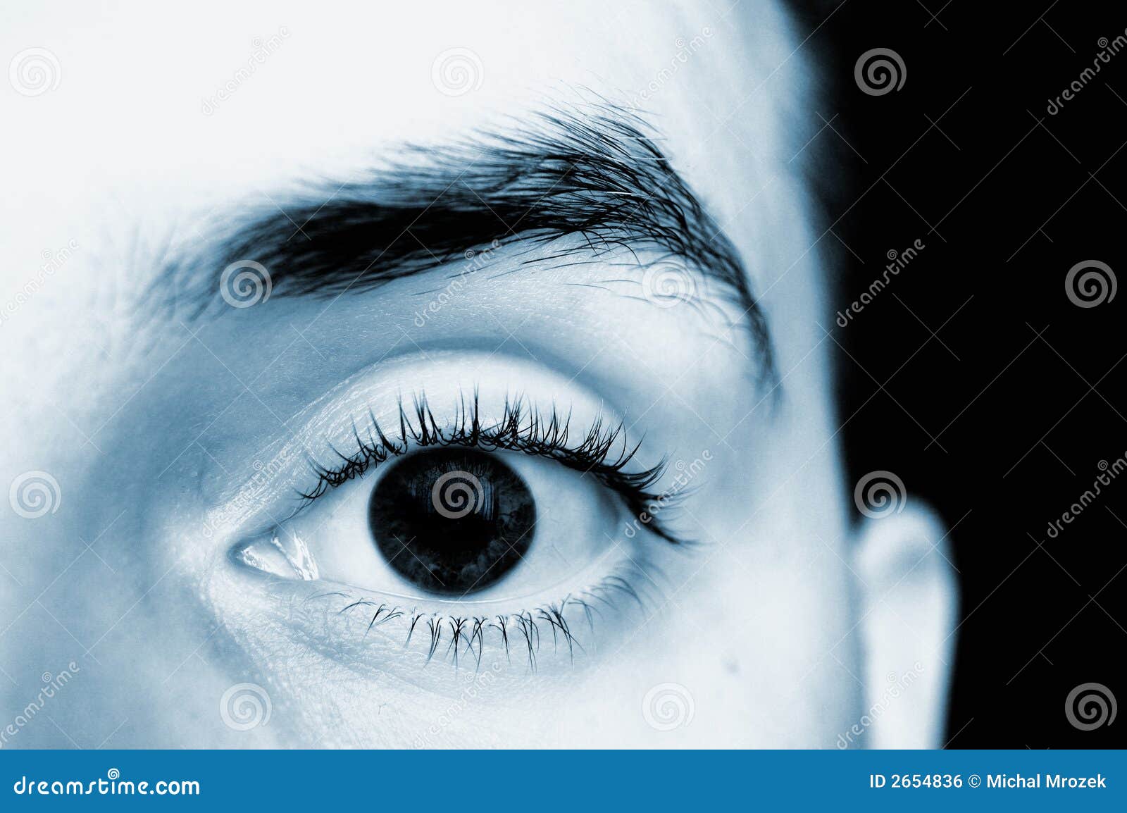 Eye Picture. Image: 2654836