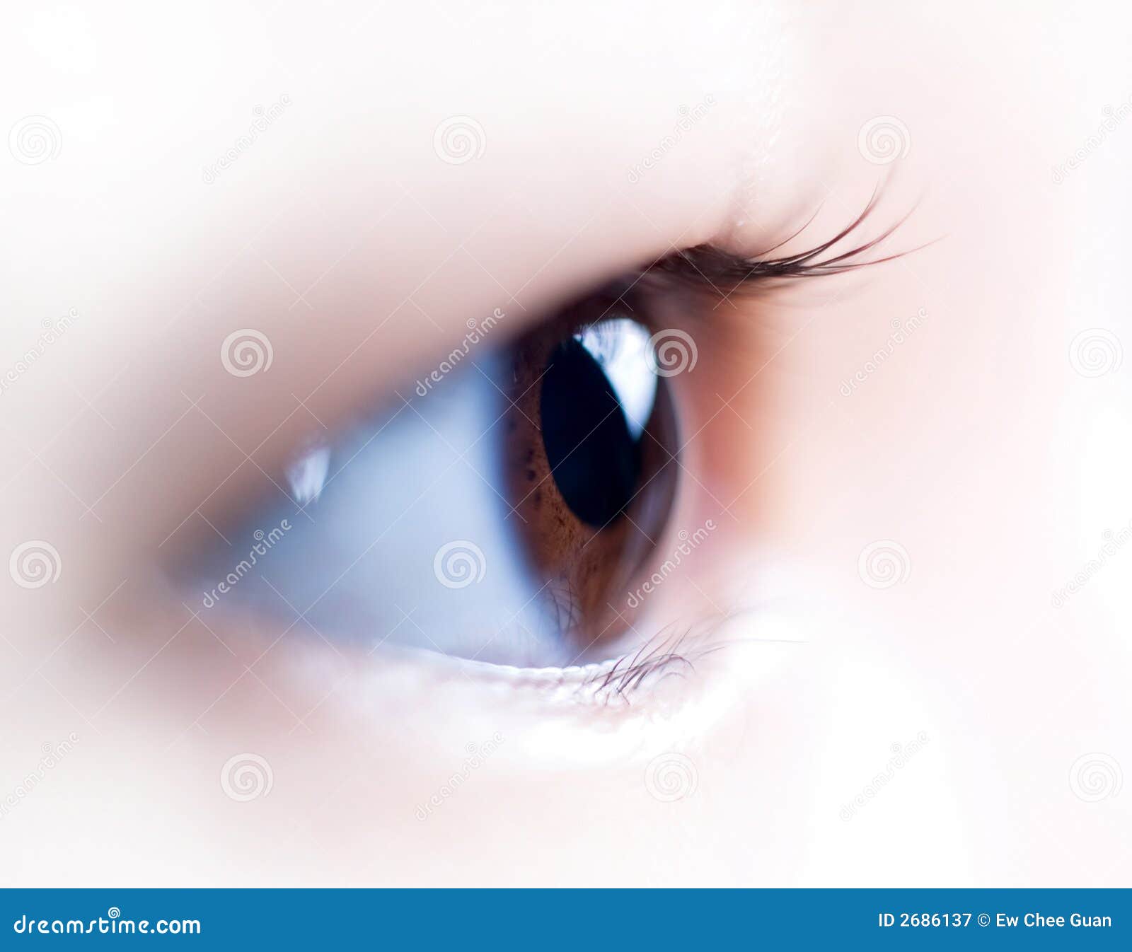 Eye stock image. Image of digital, close, skin, beautiful - 2686137
