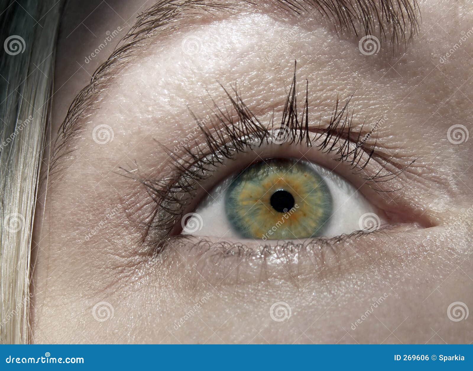 Eye stock photo. Image of vision, upward, eyes, ophthalmologist - 269606