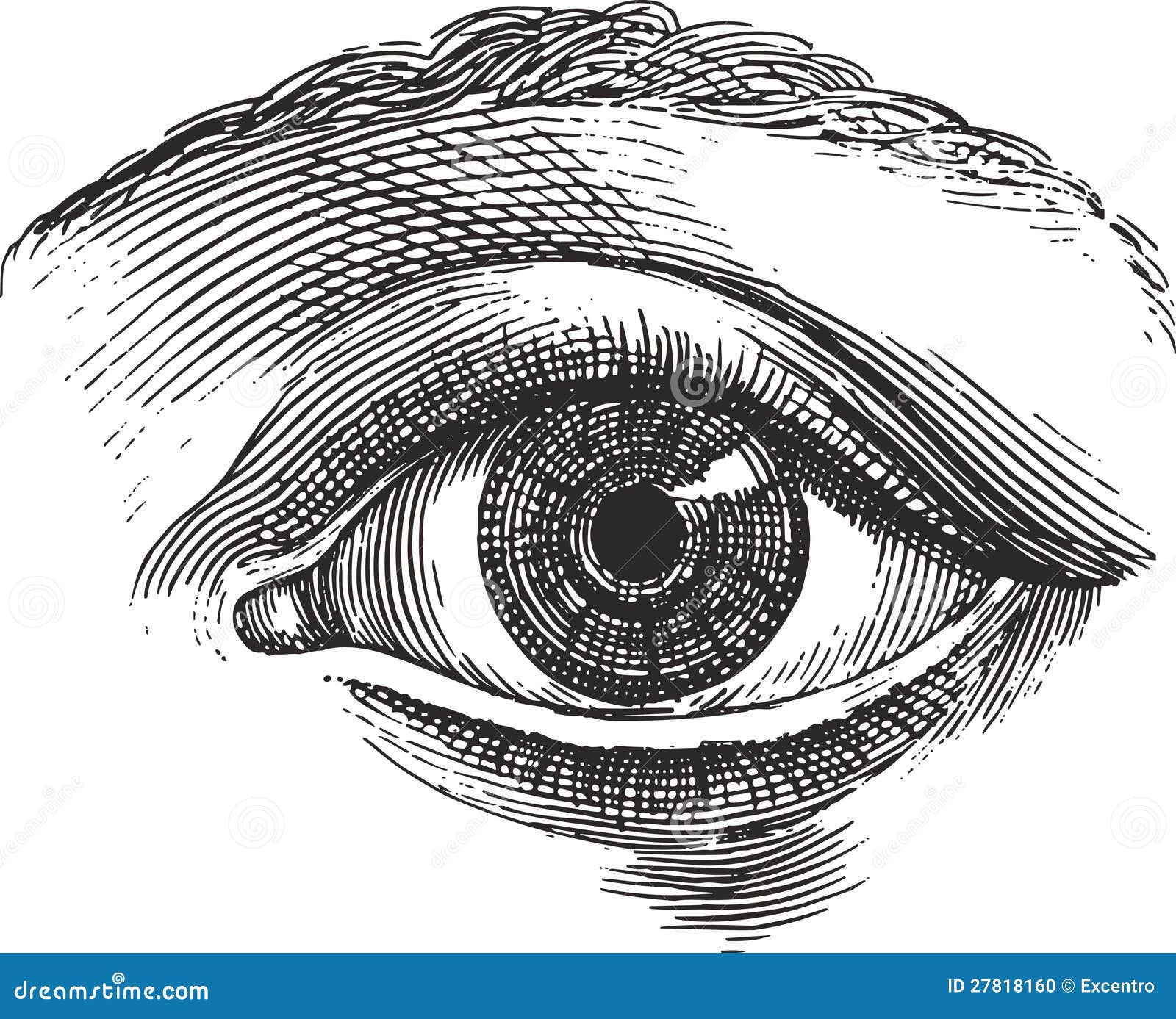 Eye stock vector. Illustration of flame, circle, object - 27818160