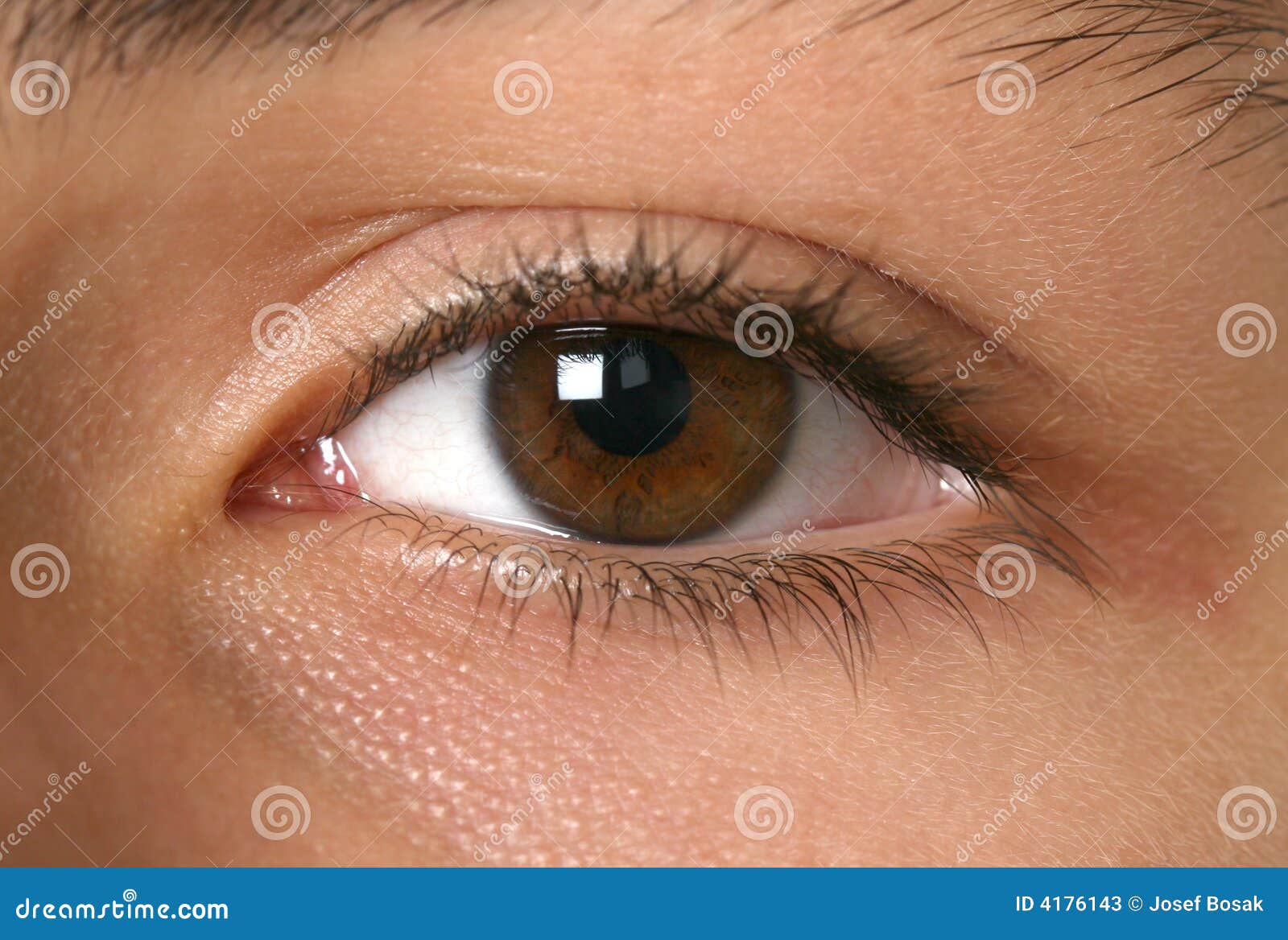 Eye stock image. Image of male, eyelash, closeup, looking - 4176143