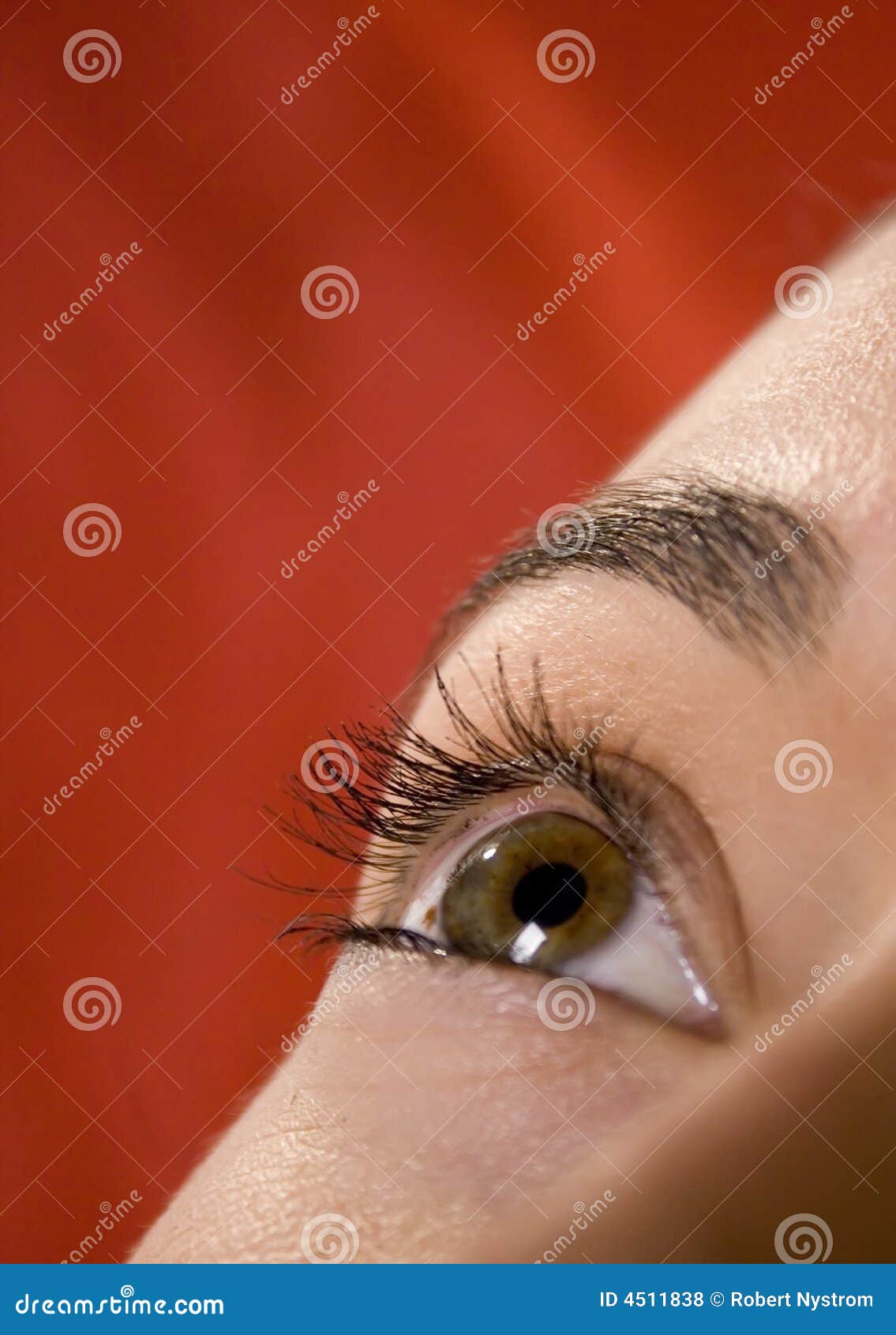 Eye stock photo. Image of observe, gaze, open, eyesight - 4511838