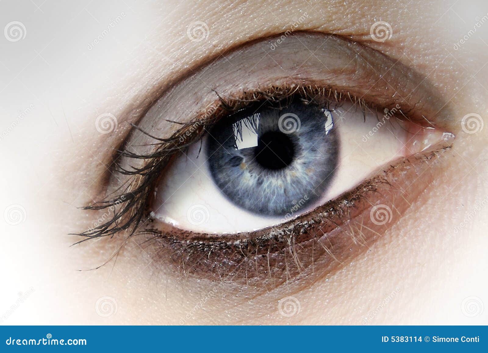 The Eye stock photo. Image of caucasian, retina, mascara - 5383114