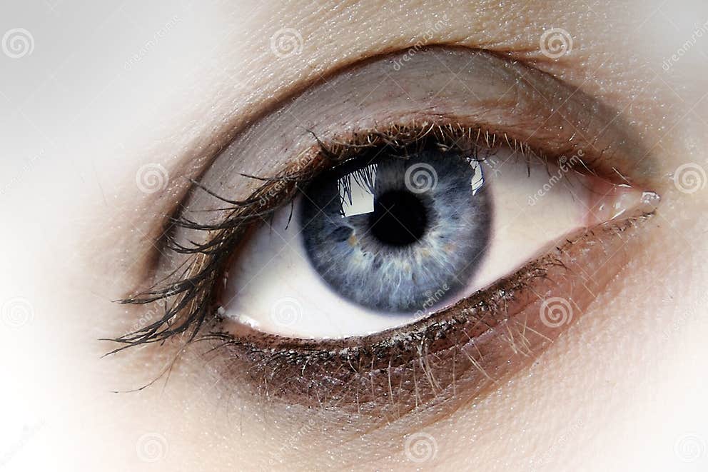 The Eye stock photo. Image of caucasian, retina, mascara - 5383114