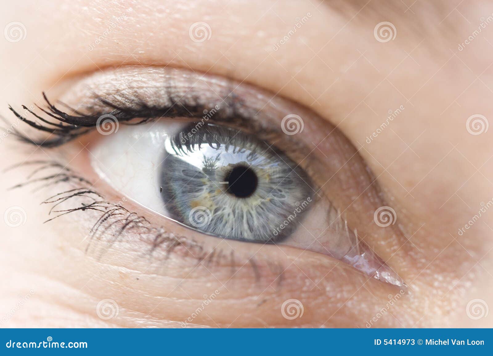The eye stock image. Image of vision, eyeshadow, macro - 5414973
