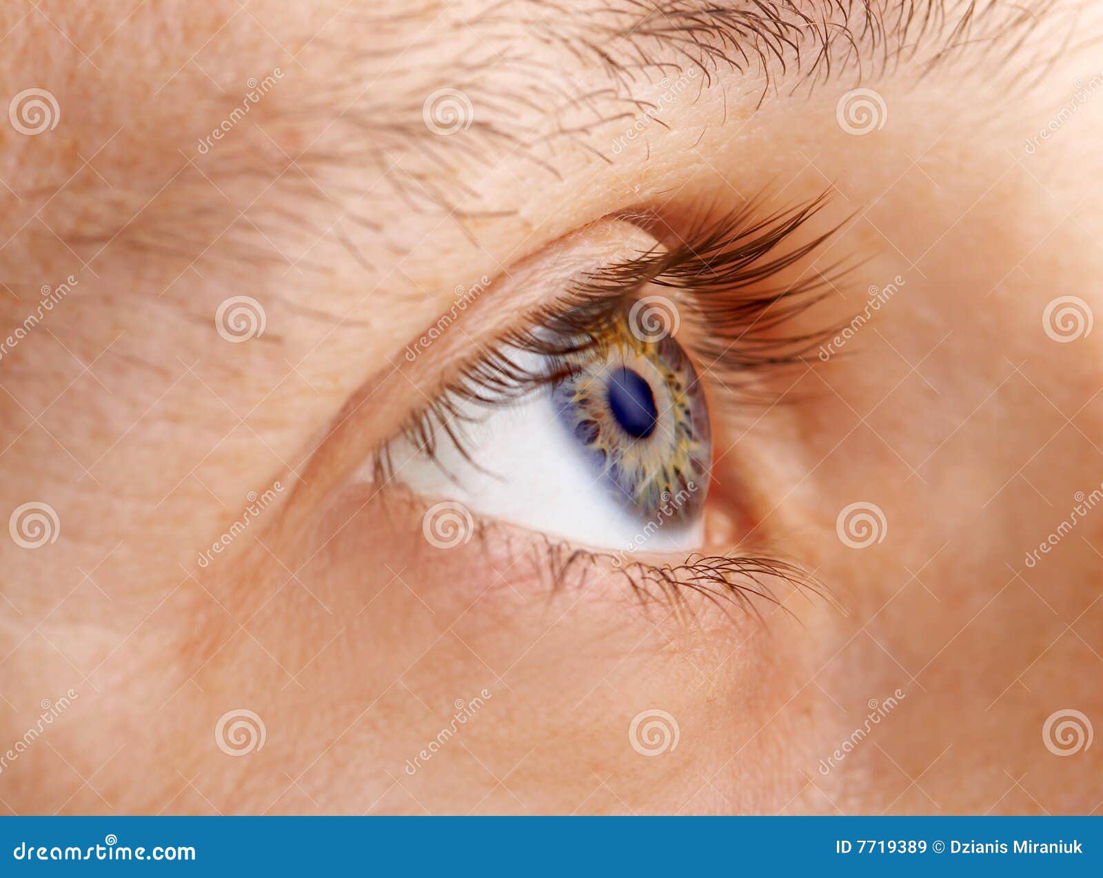 Eye stock image. Image of glance, beauty, vision, eyelid - 7719389