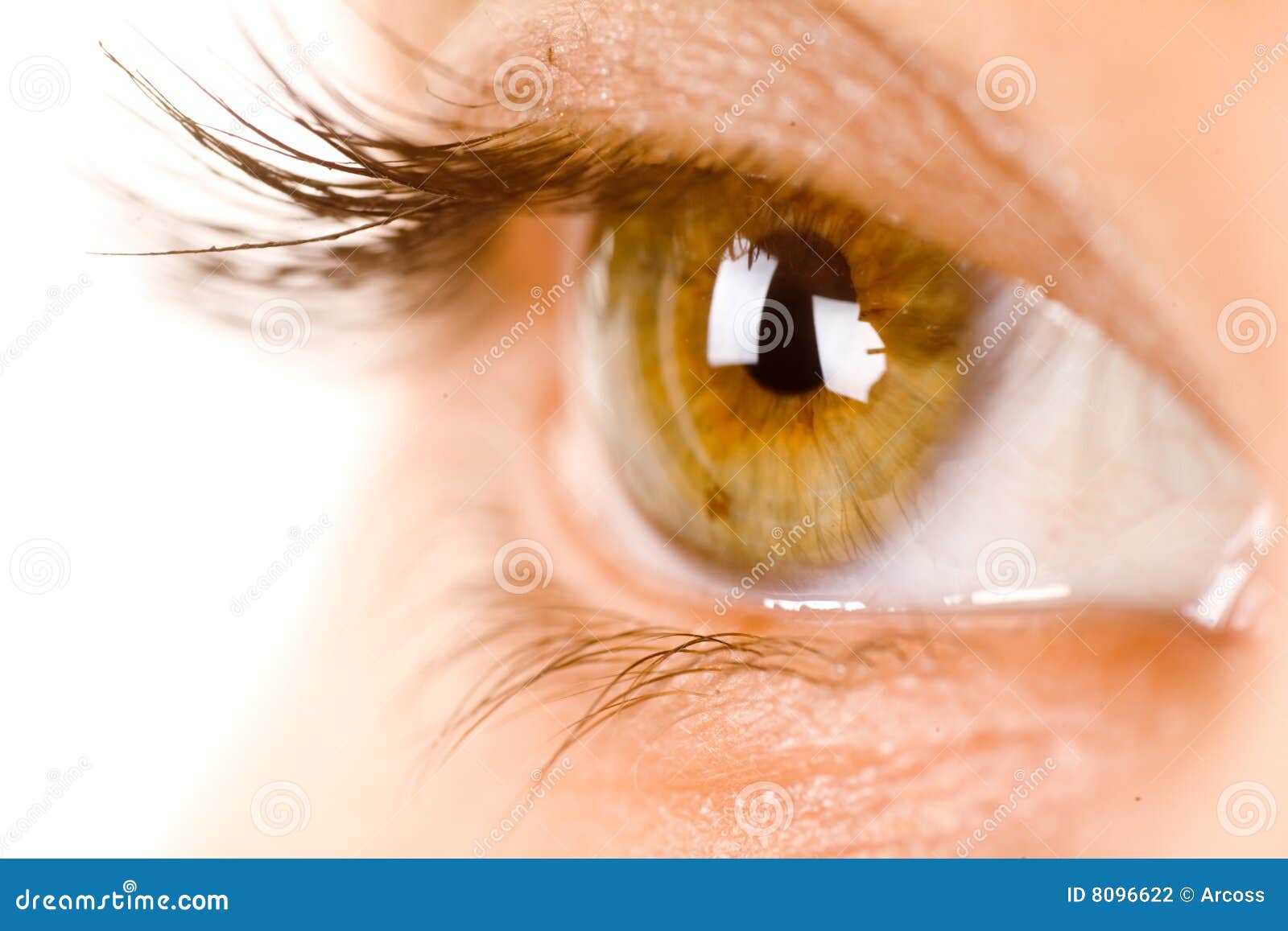Eye stock photo. Image of background, care, health, eyes - 8096622
