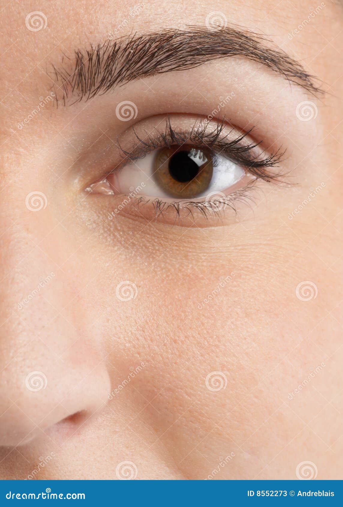 Eye stock image. Image of human, brown, cheek, expectations - 8552273