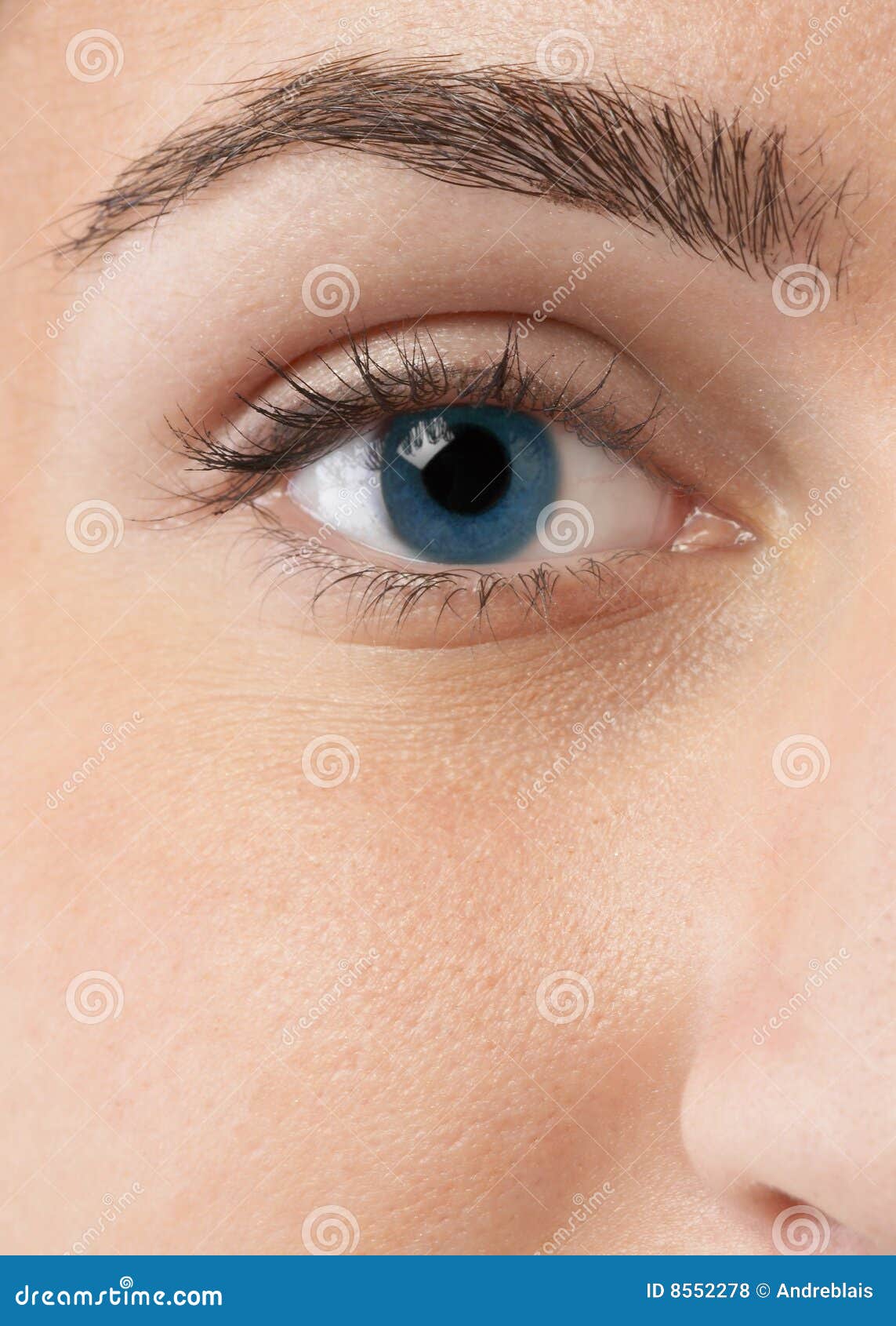 Eye stock photo. Image of beauty, health, eyes, glamor - 8552278