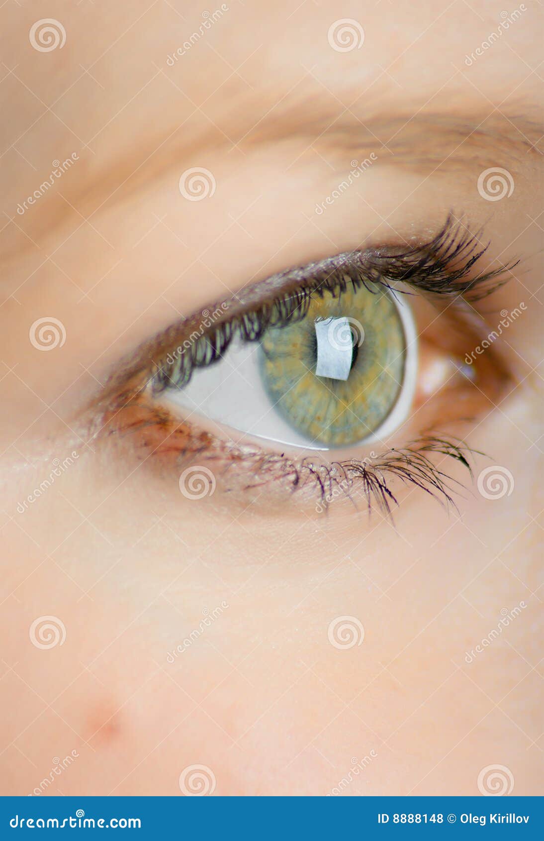 The eye stock photo. Image of people, lens, ophthalmology - 8888148
