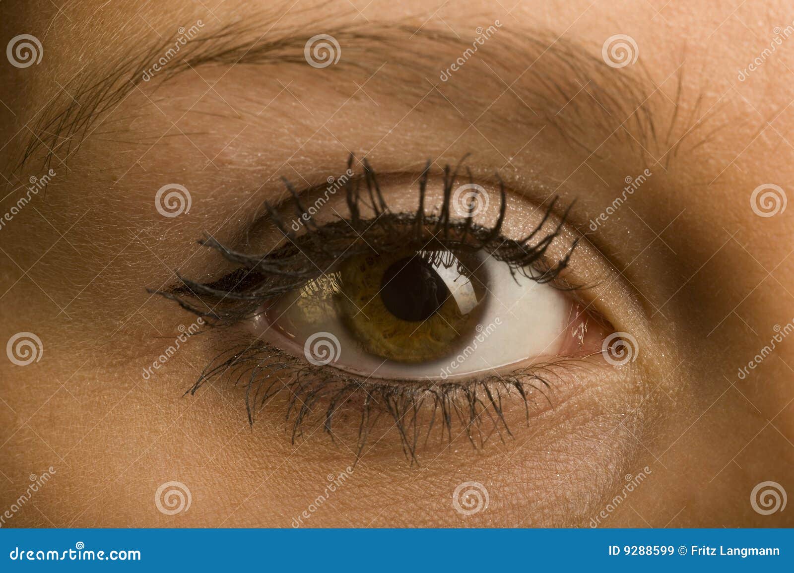 Eye stock image. Image of gape, view, opened, eyes, madam - 9288599