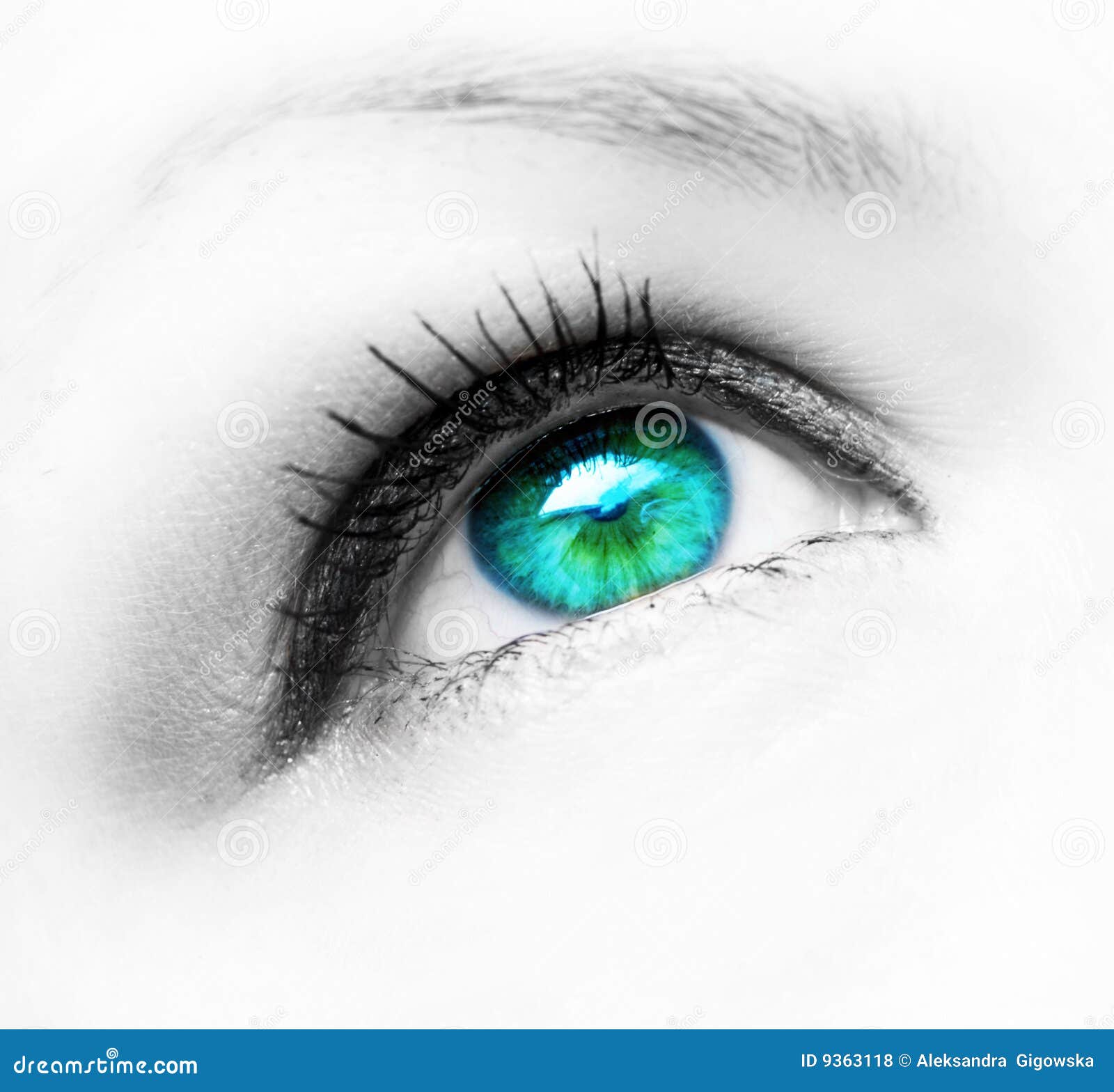 Eye stock photo. Image of close, shine, face, human, optical - 9363118