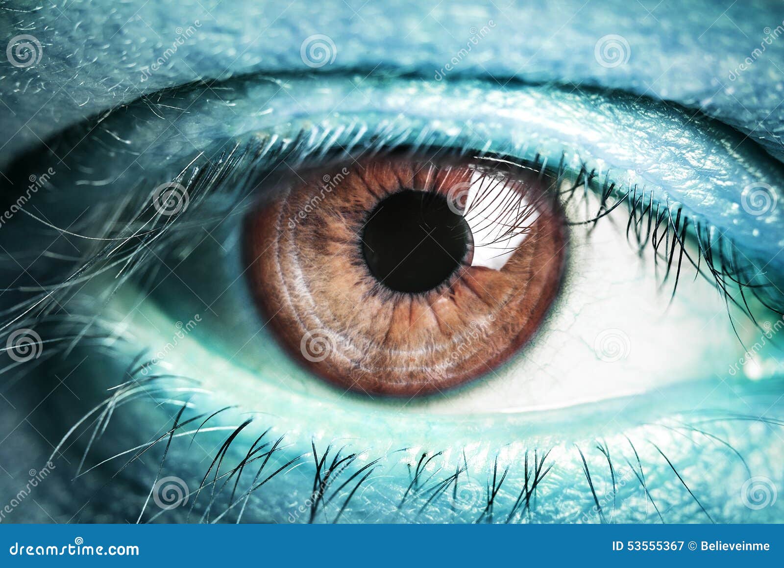 Eye of the alien stock image. Image of blue, beautiful - 53555367