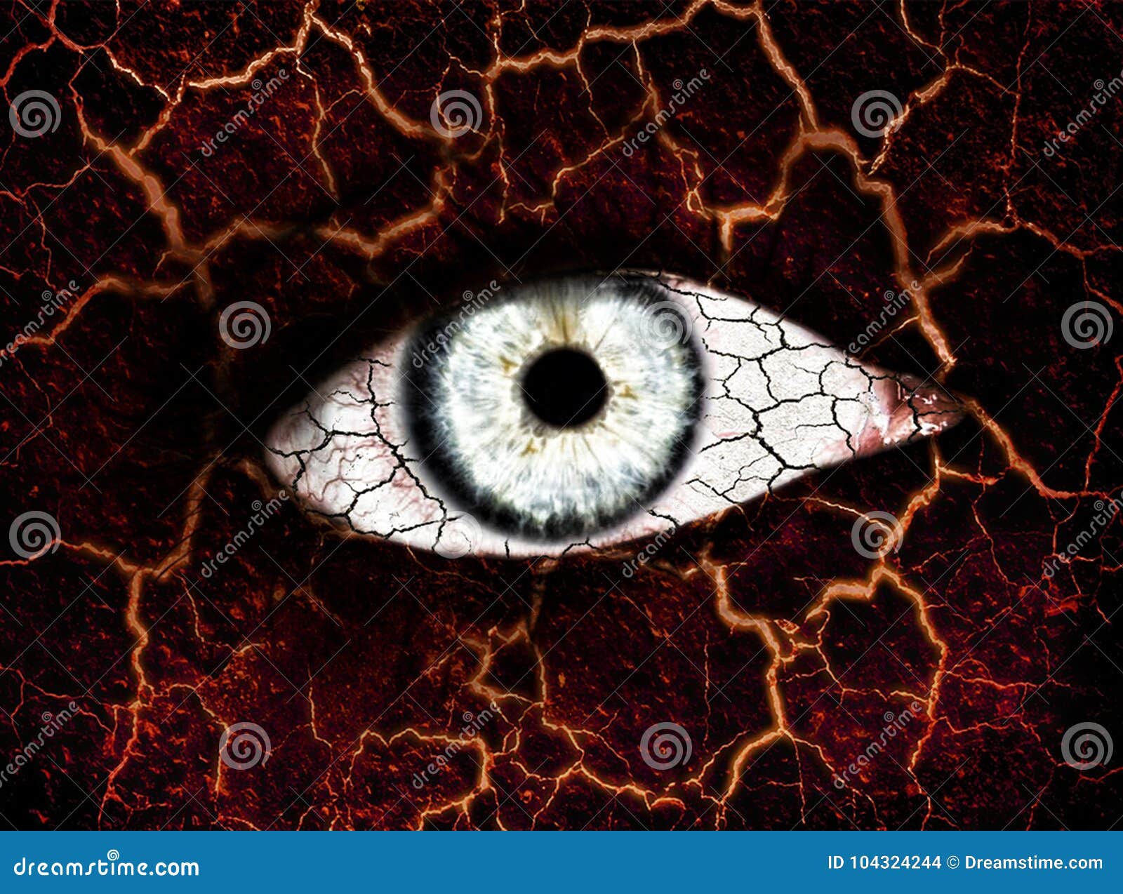 Eye stock photo. Image of arid, soil, climate, human - 104324244