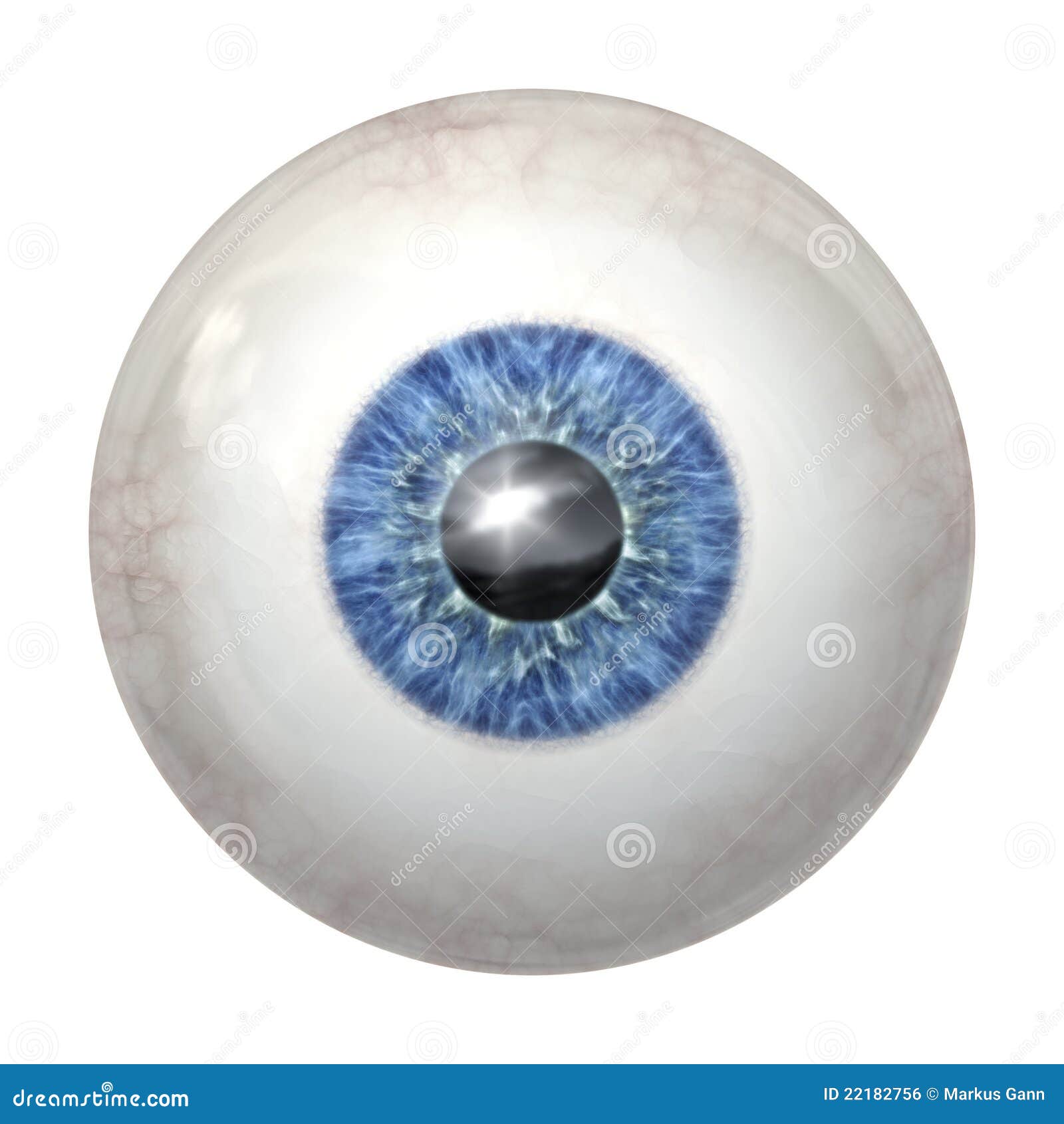 Eye ball blue stock illustration. Illustration of anatomy - 22182756
