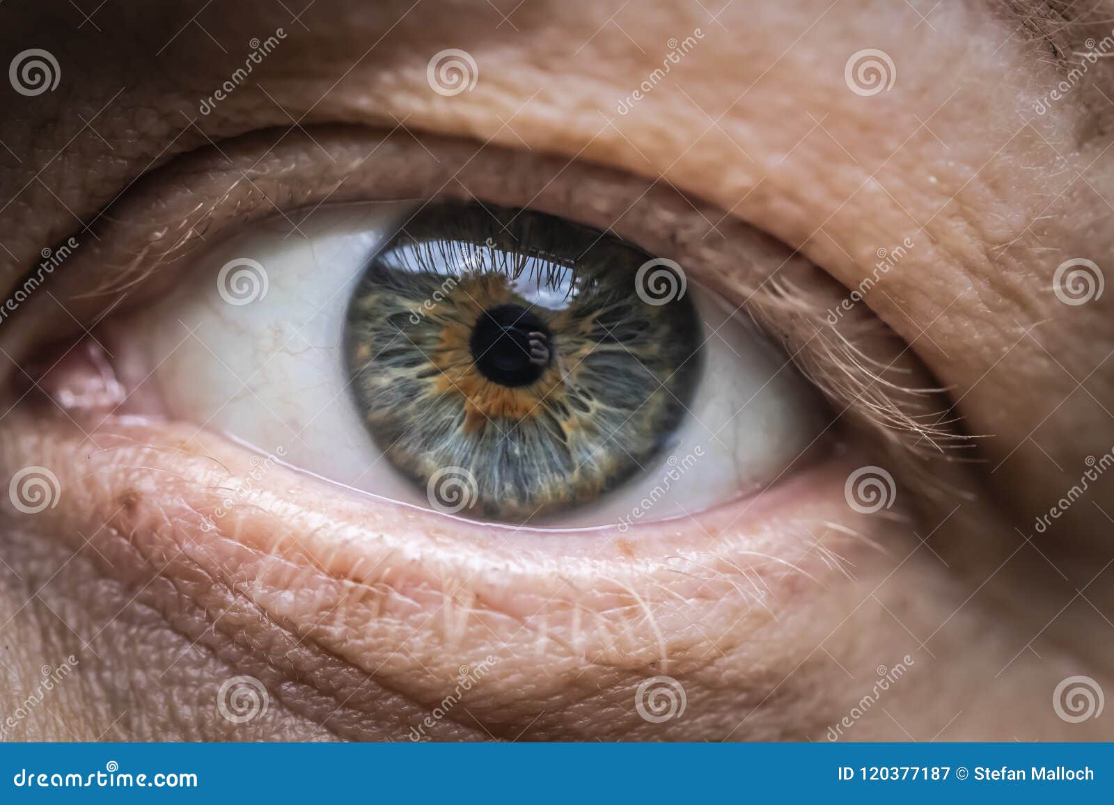 An Eye Ball Close Up stock image. Image of eyes, eyelashes - 120377187