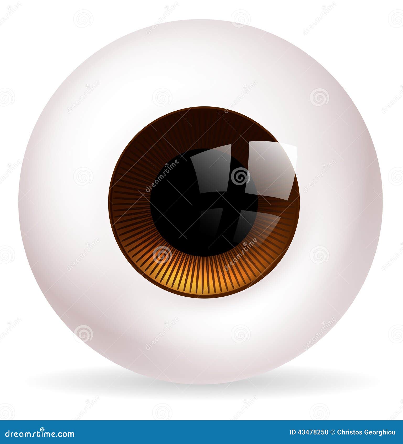 Eye ball stock vector. Illustration of look, eyeball - 43478250