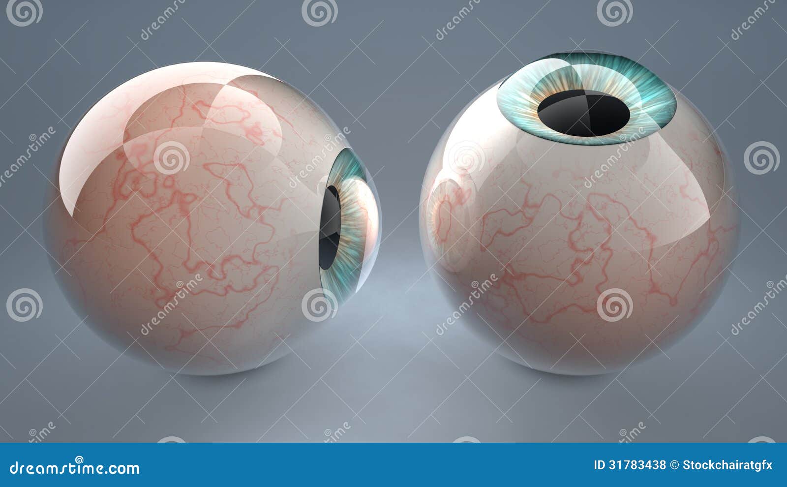 Eye ball stock illustration. Illustration of optics, person - 31783438