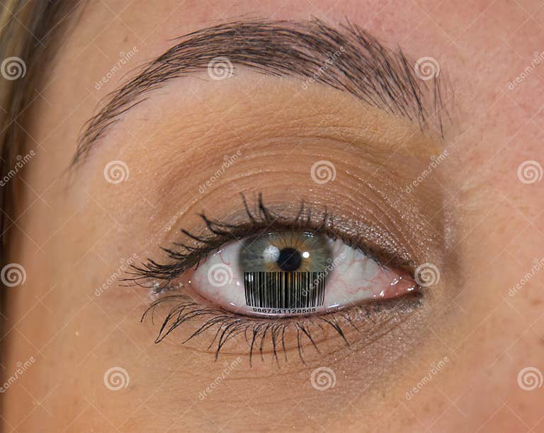 Eye Barcode stock illustration. Illustration of identification - 45799940
