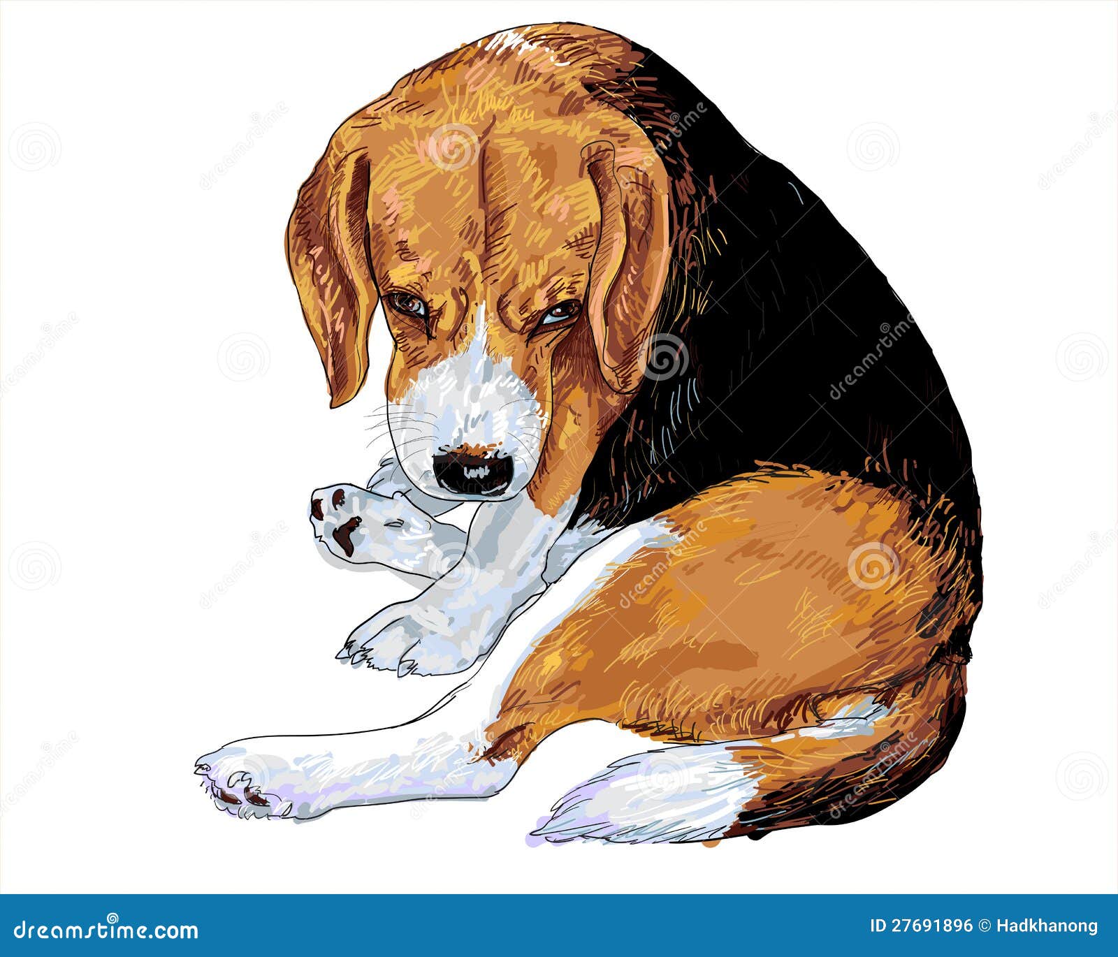 The eye of Beagle stock vector. Illustration of drawing - 27691896