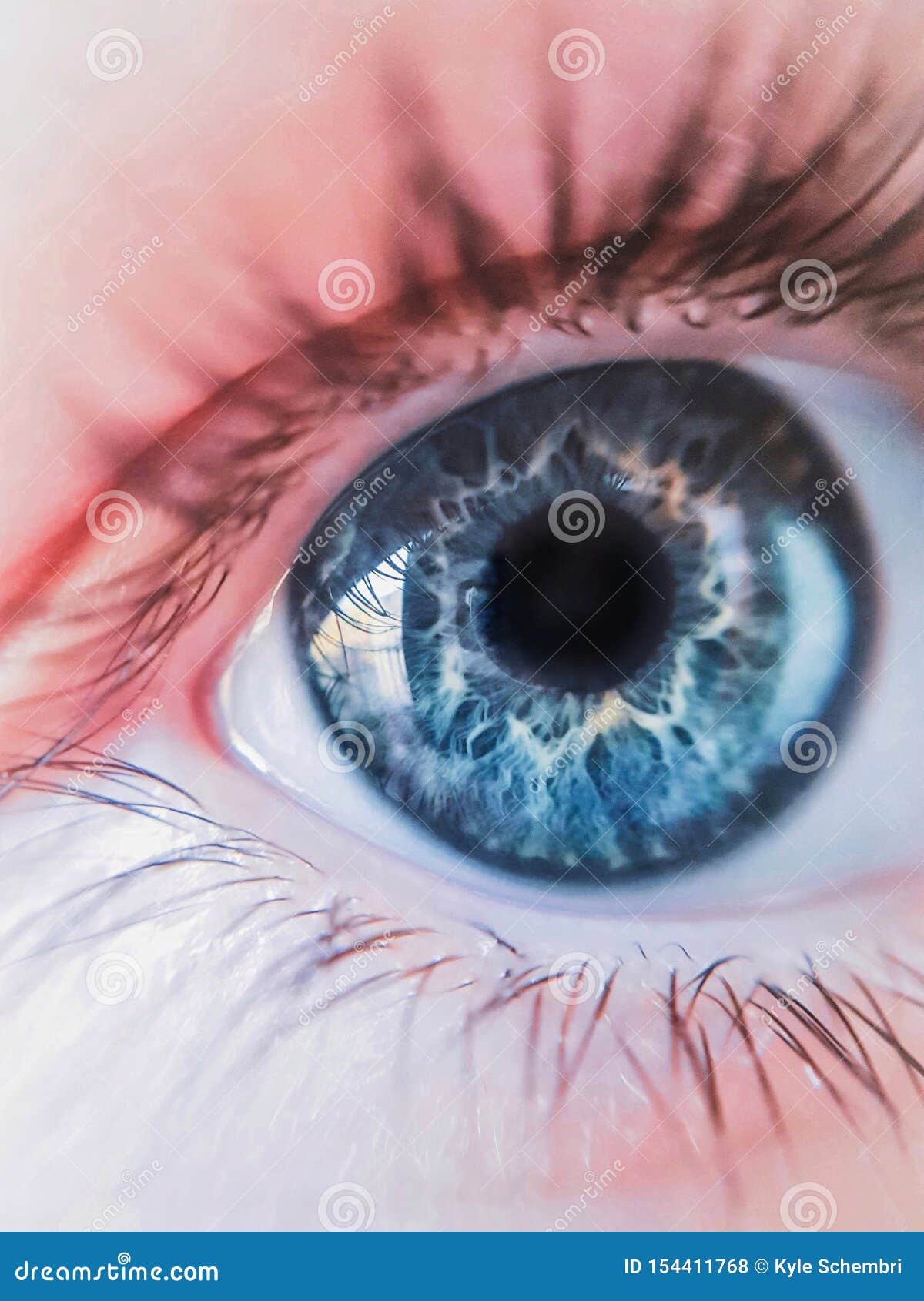 Eye of the beholder. stock photo. Image of vivid, blue - 154411768
