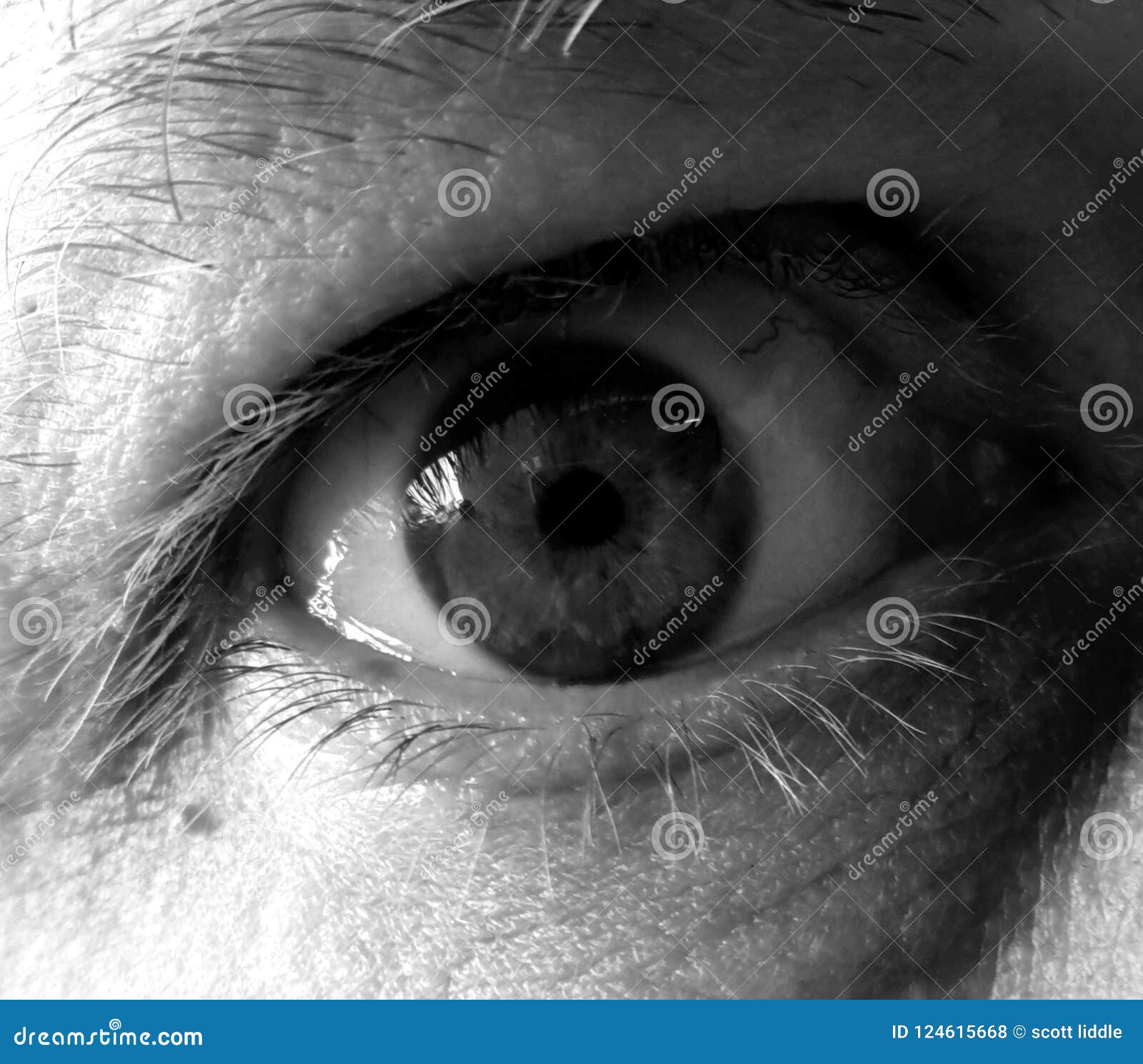 Eye stock photo. Image of center, black, singular, white - 124615668