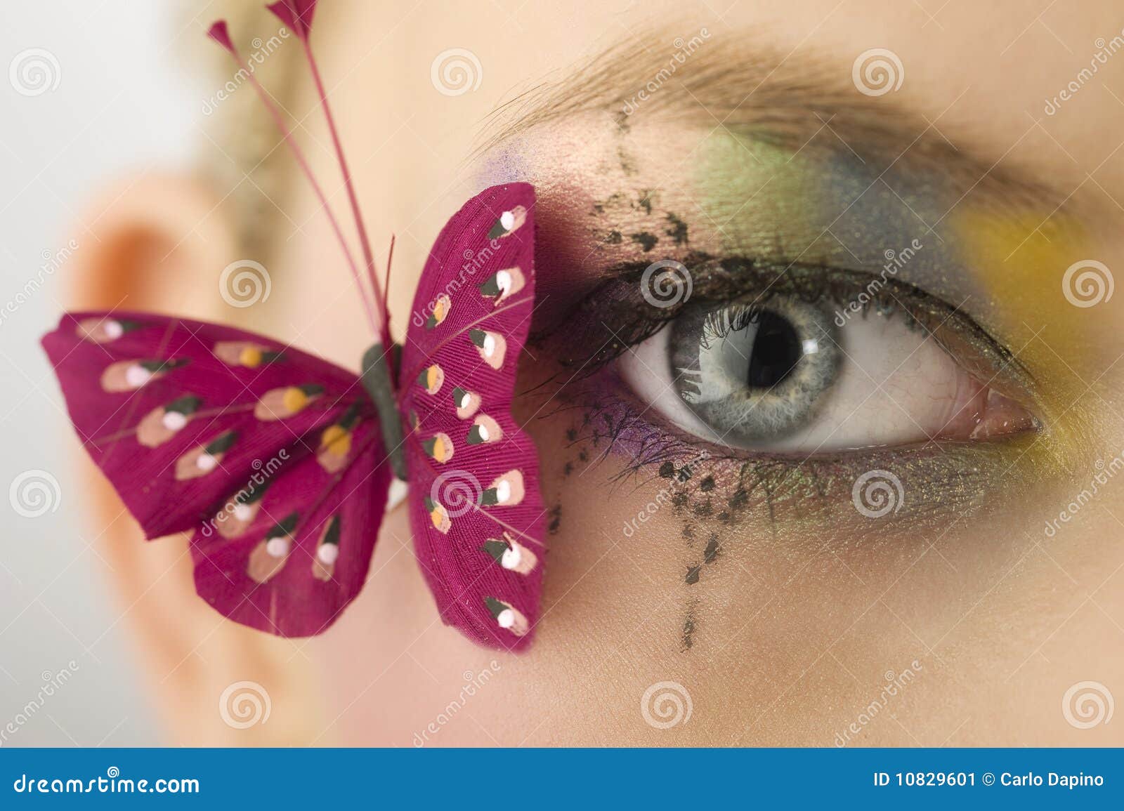 Eye and butterfly stock image. Image of design, beauty - 10829601