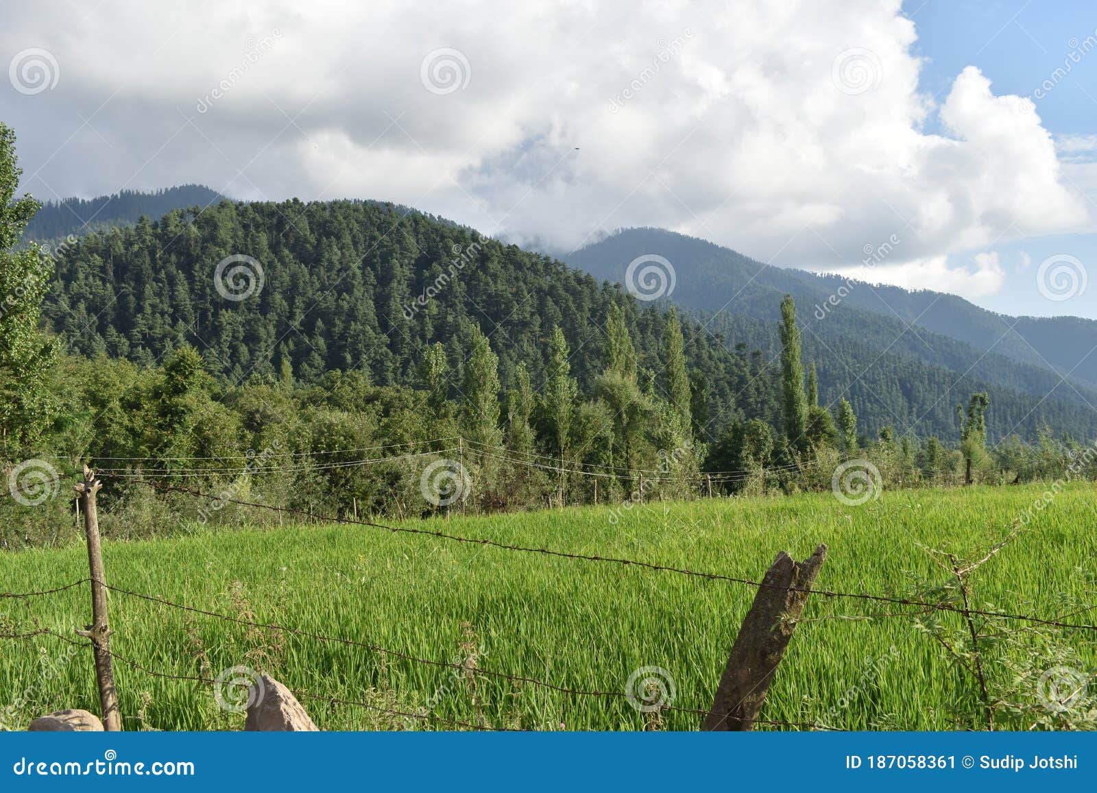 An Eye Catching Beautiful View at Kashmir Valley,India Stock Image ...