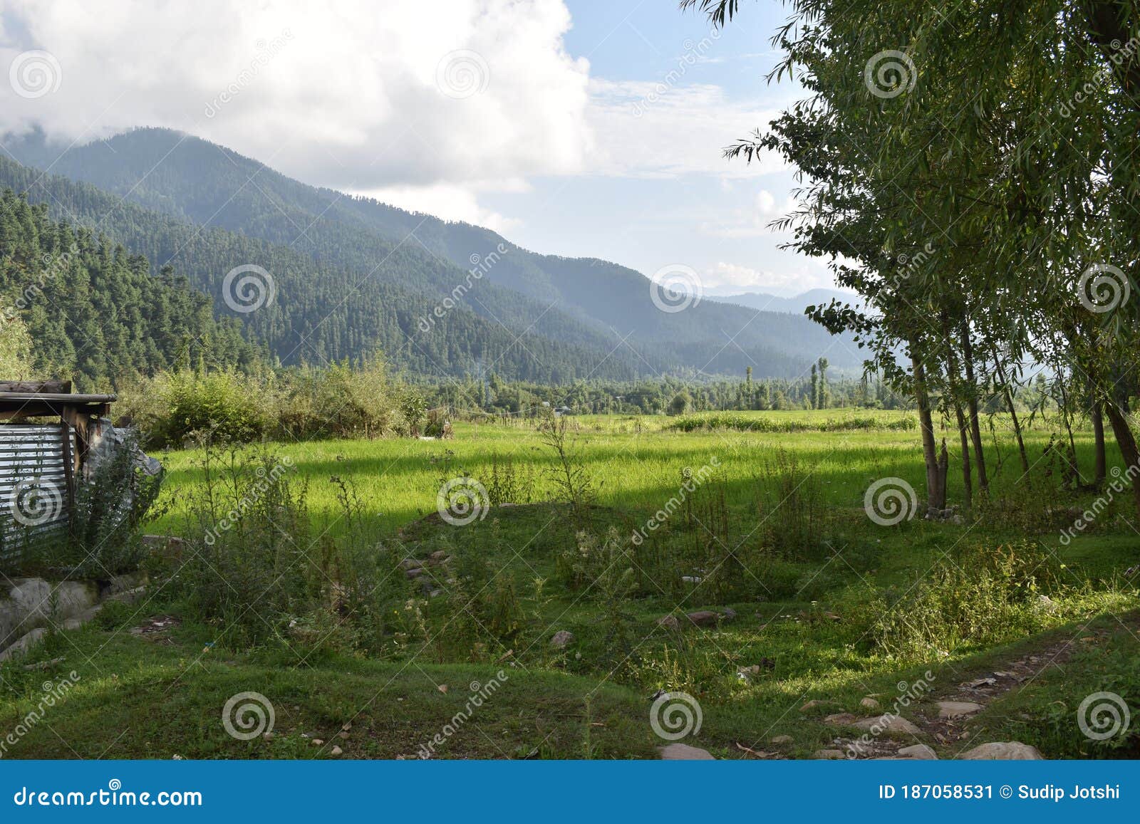 An Eye Catching Beautiful View at Kashmir Valley,India Stock Image ...