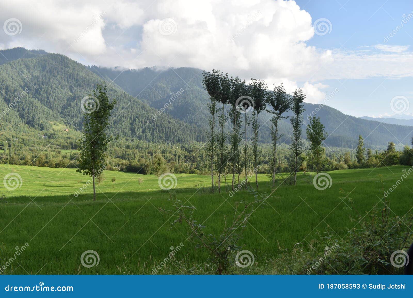 An Eye Catching Beautiful View at Kashmir Valley,India Stock Image ...