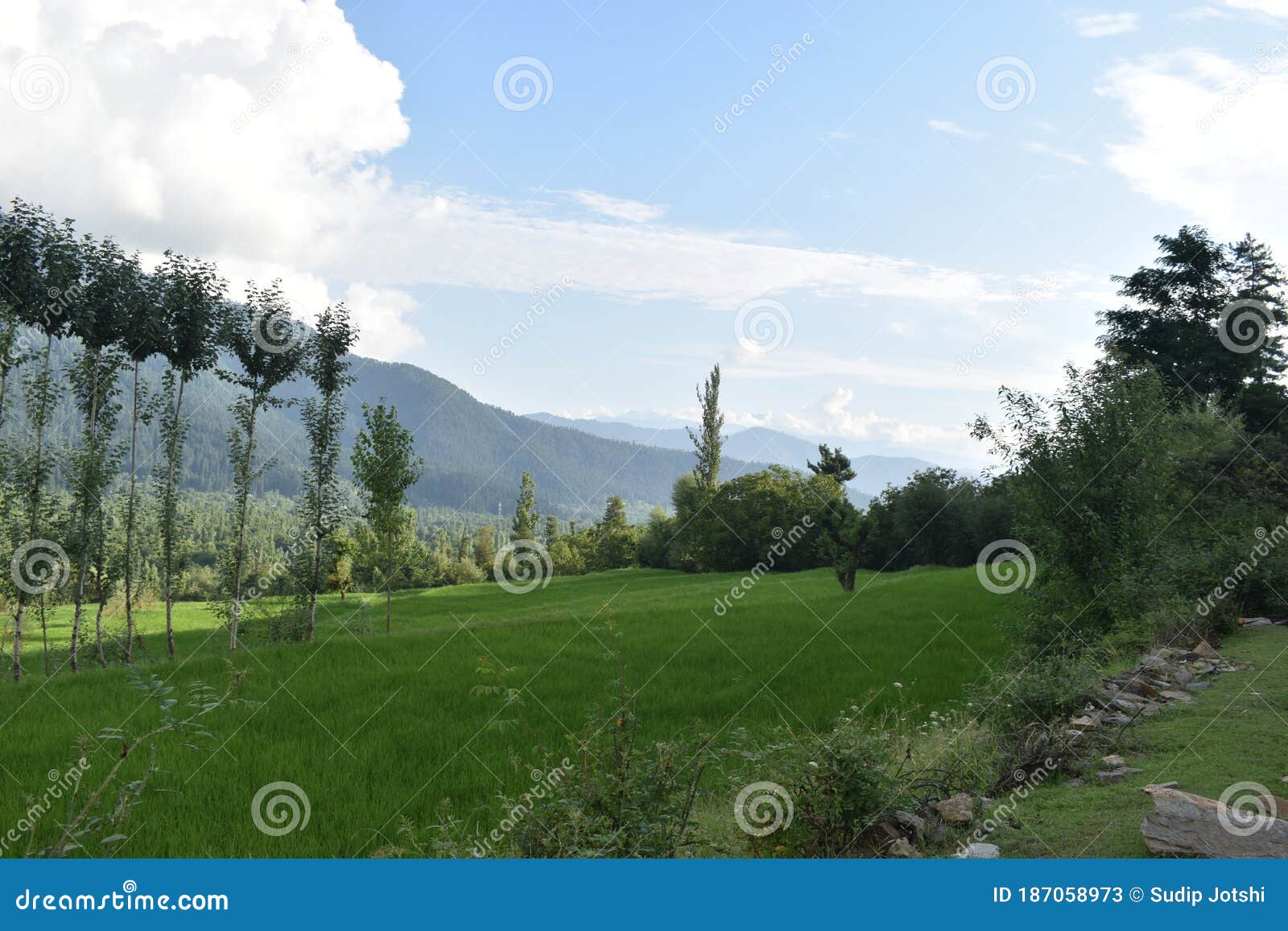 An Eye Catching Beautiful View at Kashmir Valley,India Stock Image ...