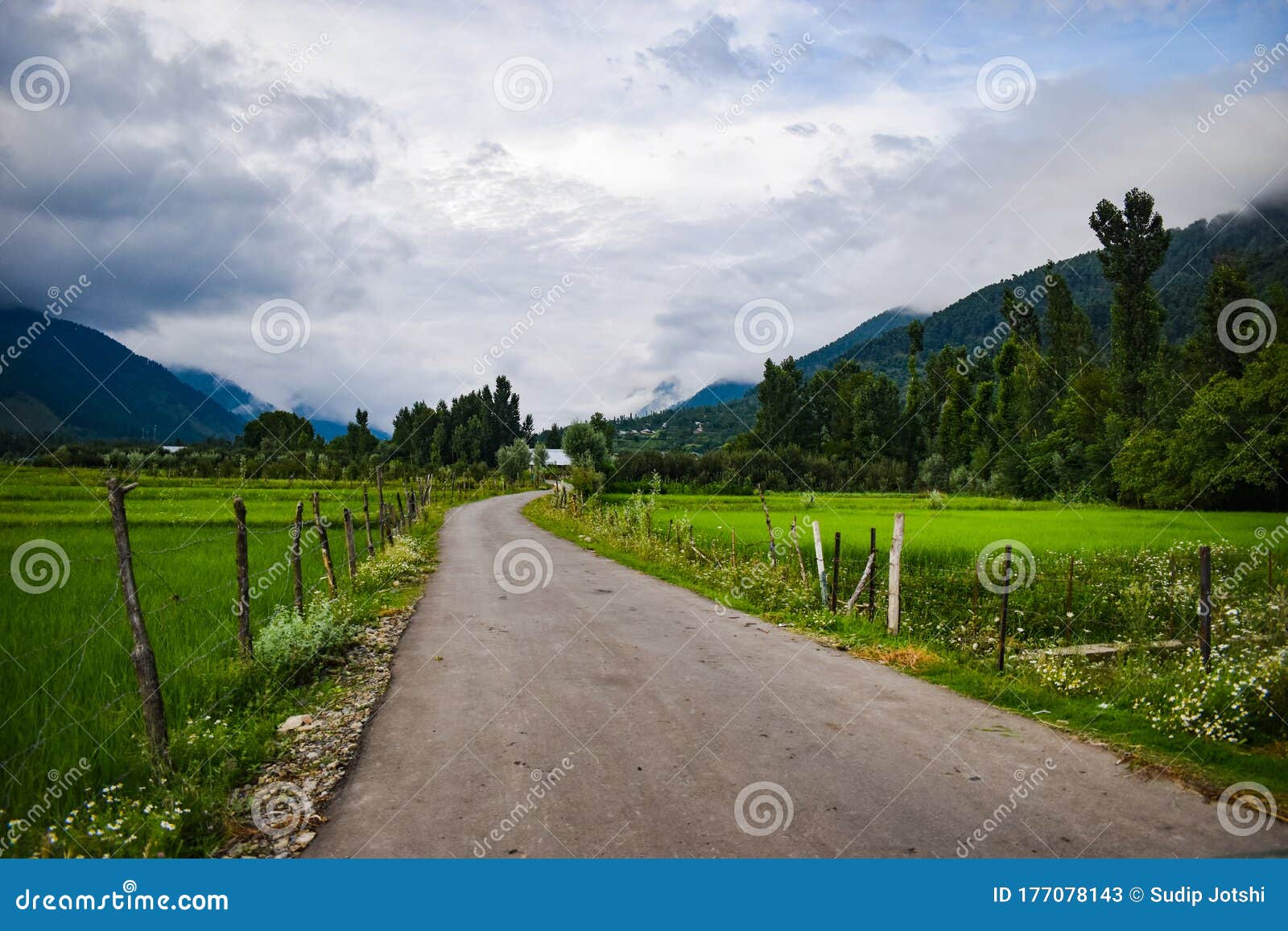 An Eye Catching View of Paddy Fields with Beautiful Sky at Pahalgam ...